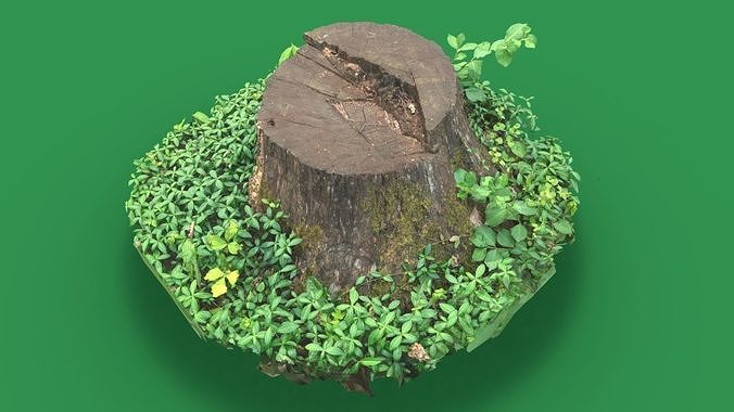 Tree stump 3D model for game or film use obj gltf usdz 3D model | CGTrader