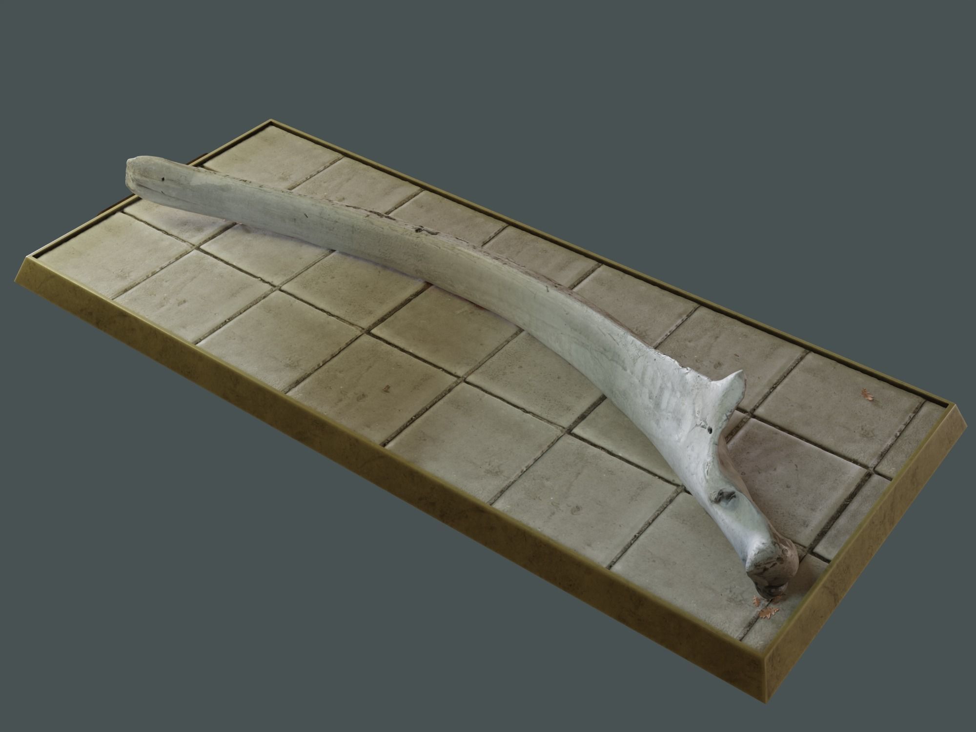 Whale mandible and PBR materials free VR / AR / low-poly 3D model ...