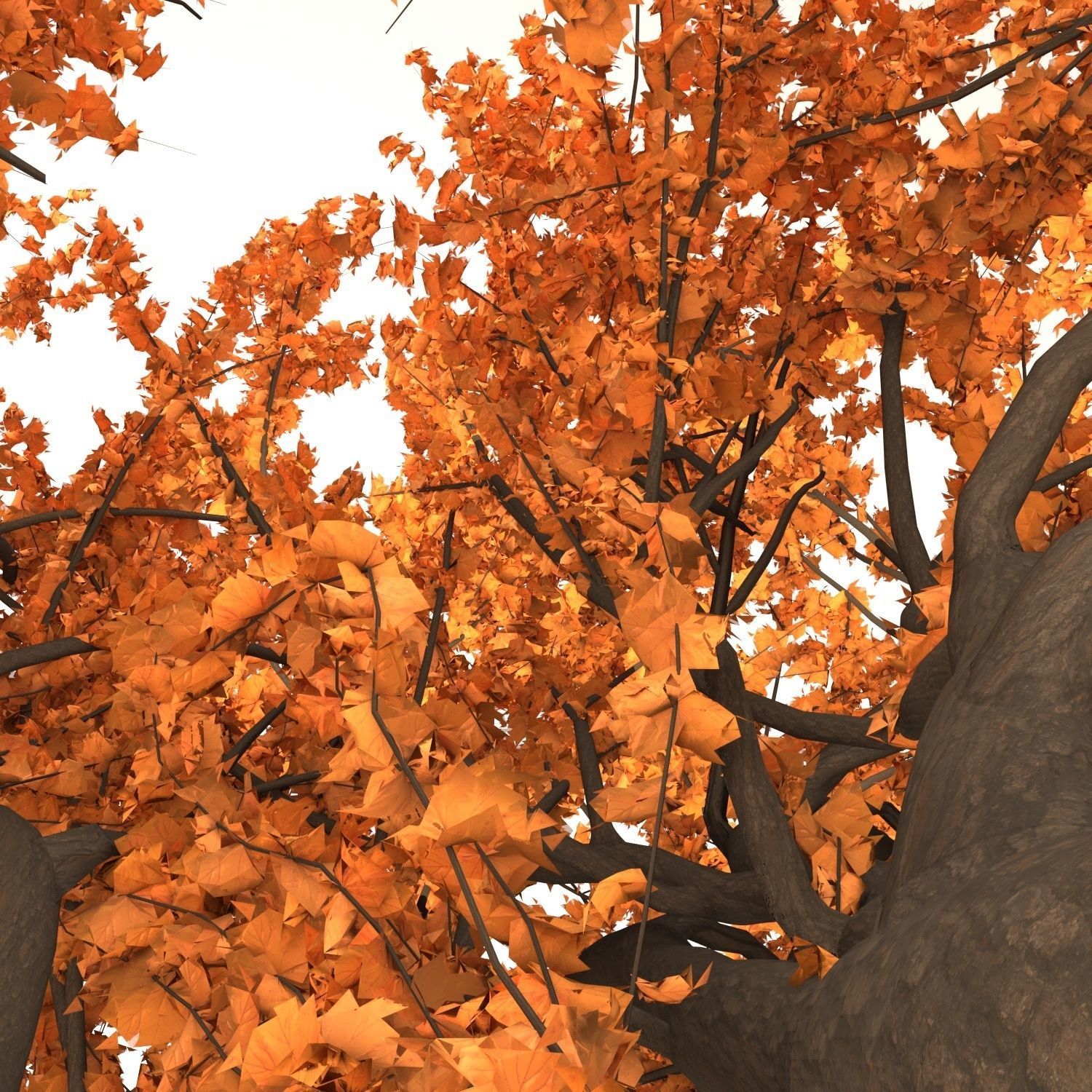 Autumn Maple Tree 3D model | CGTrader