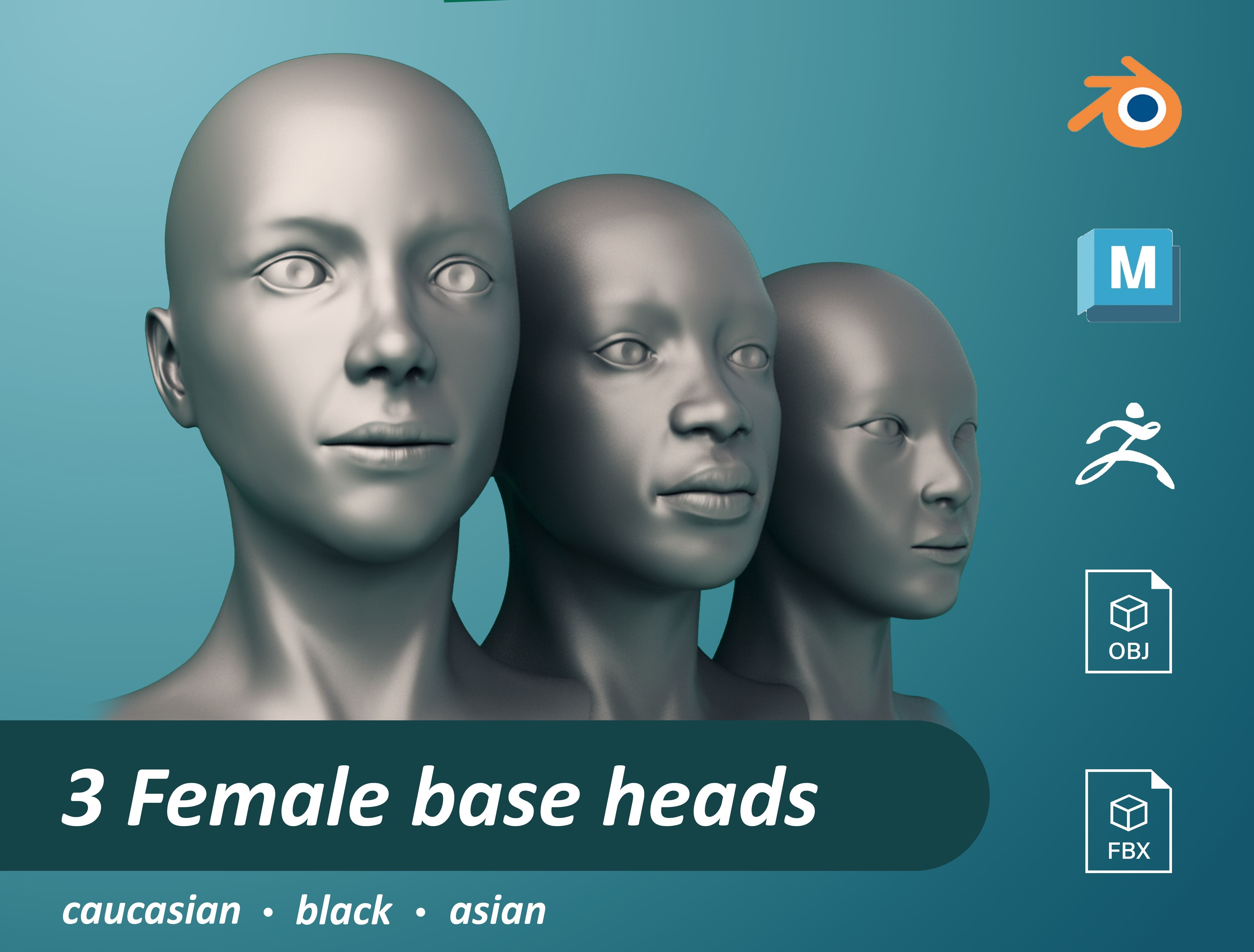 3D model 3 Female base heads VR / AR / low-poly | CGTrader