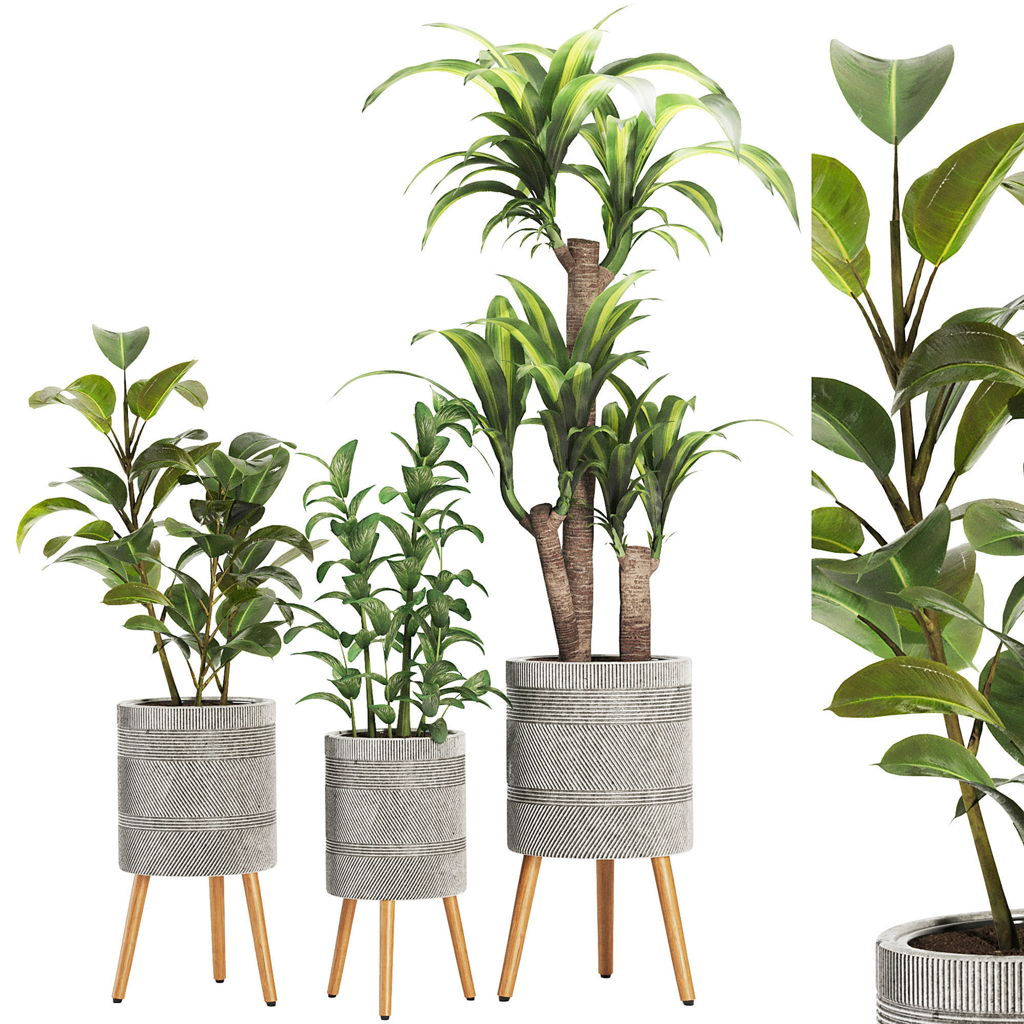 Indoor Plant Set V3 3D model | CGTrader