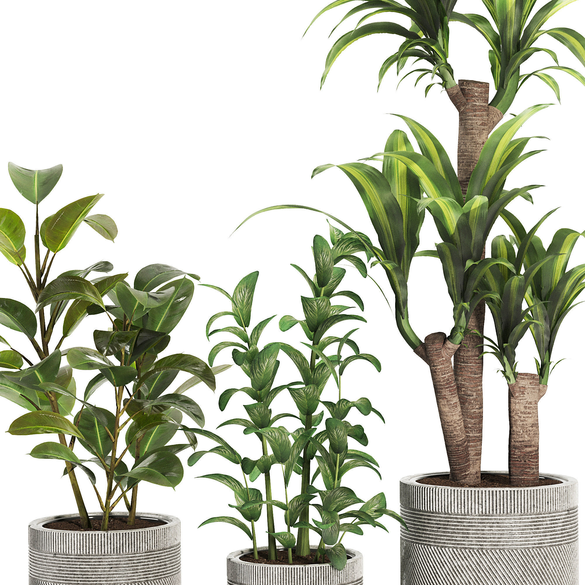 Indoor Plant Set V3 3D model | CGTrader
