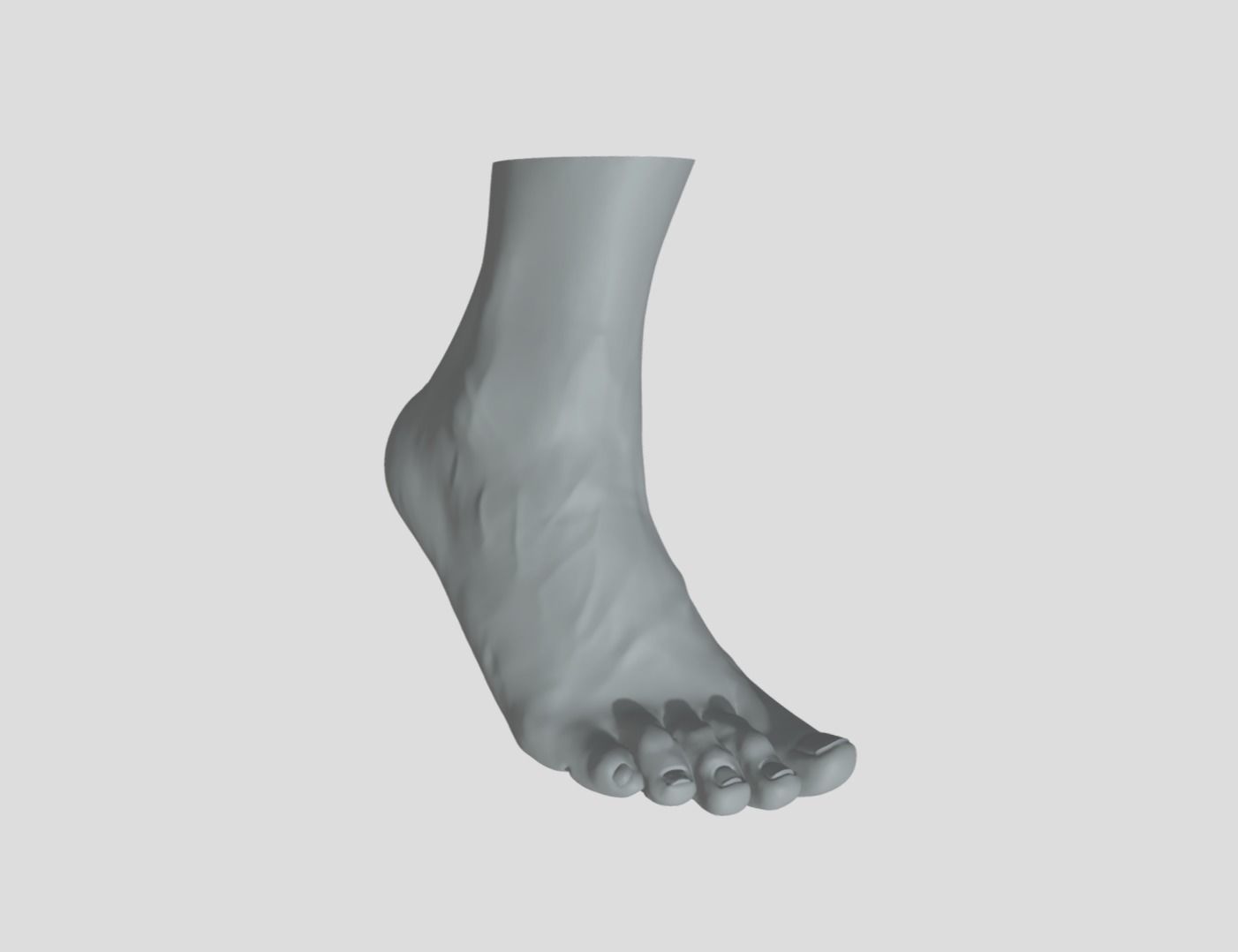 Feet - Foot - Paw 3D model 3D printable | CGTrader