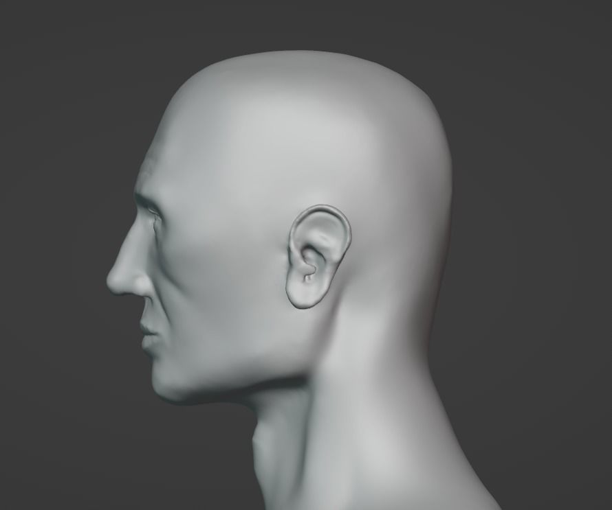 male body 3D model | CGTrader