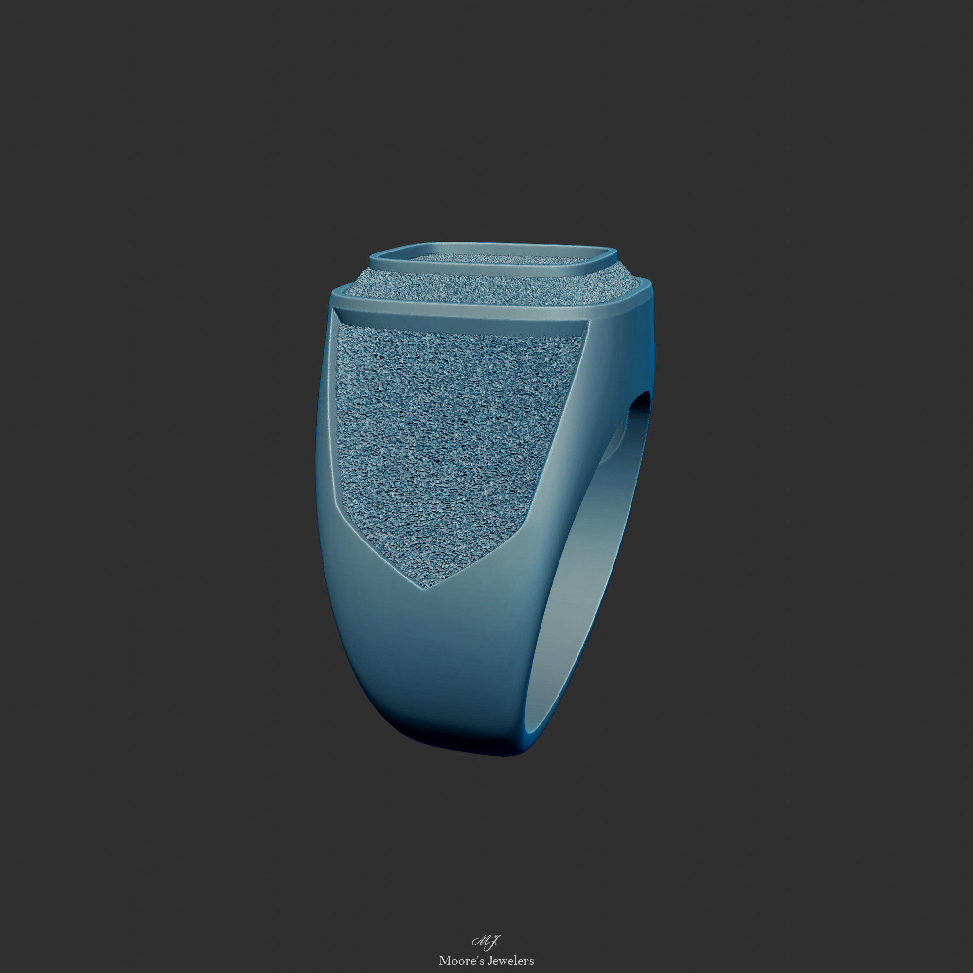 Textured or Smooth Class Ring 3d Model 3D model 3D printable | CGTrader