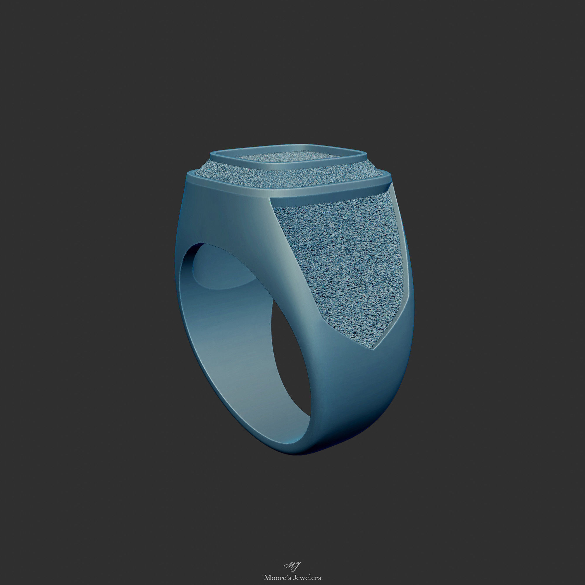 Textured or Smooth Class Ring 3d Model 3D model 3D printable | CGTrader