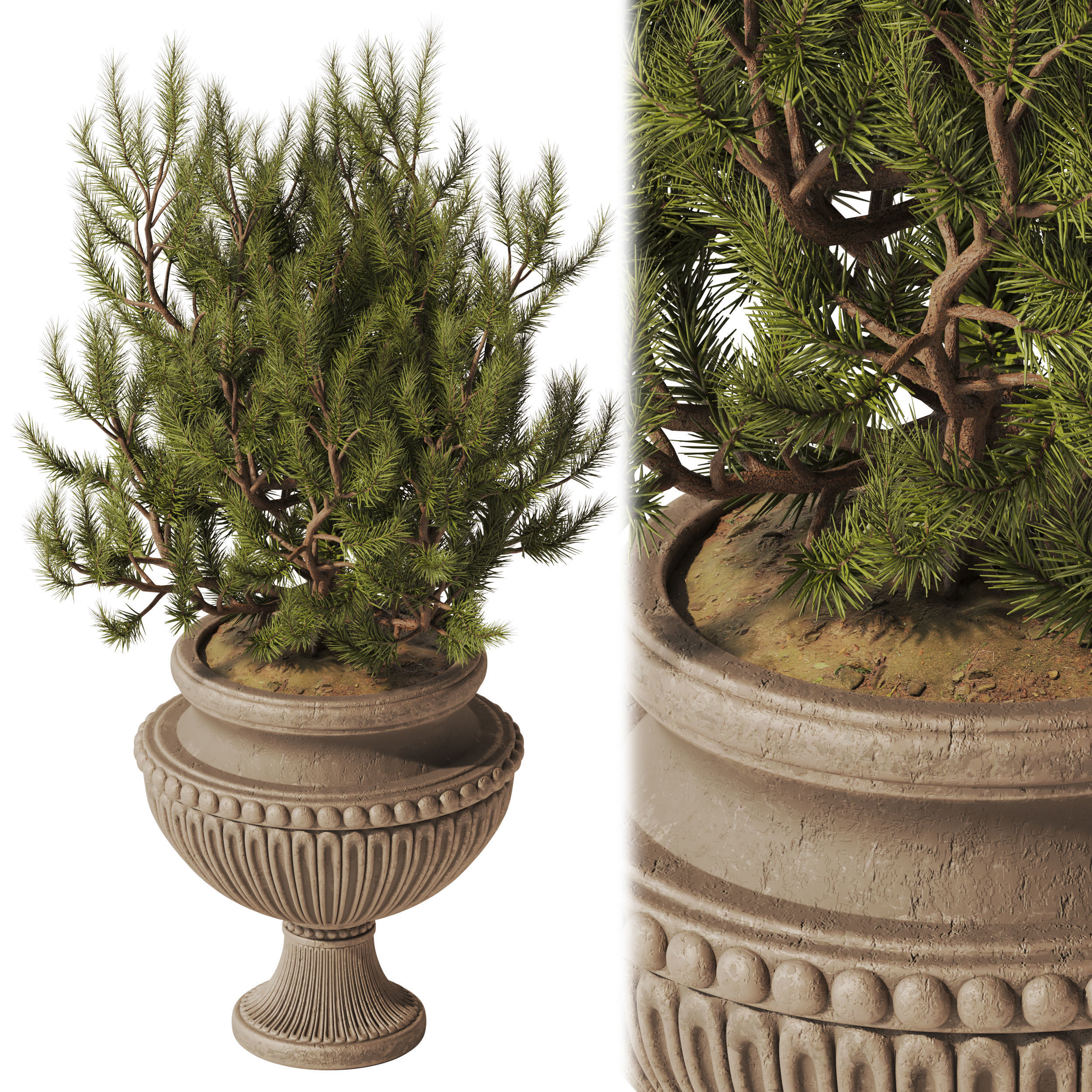 Decorative Pine In Classic Vase 3D model | CGTrader