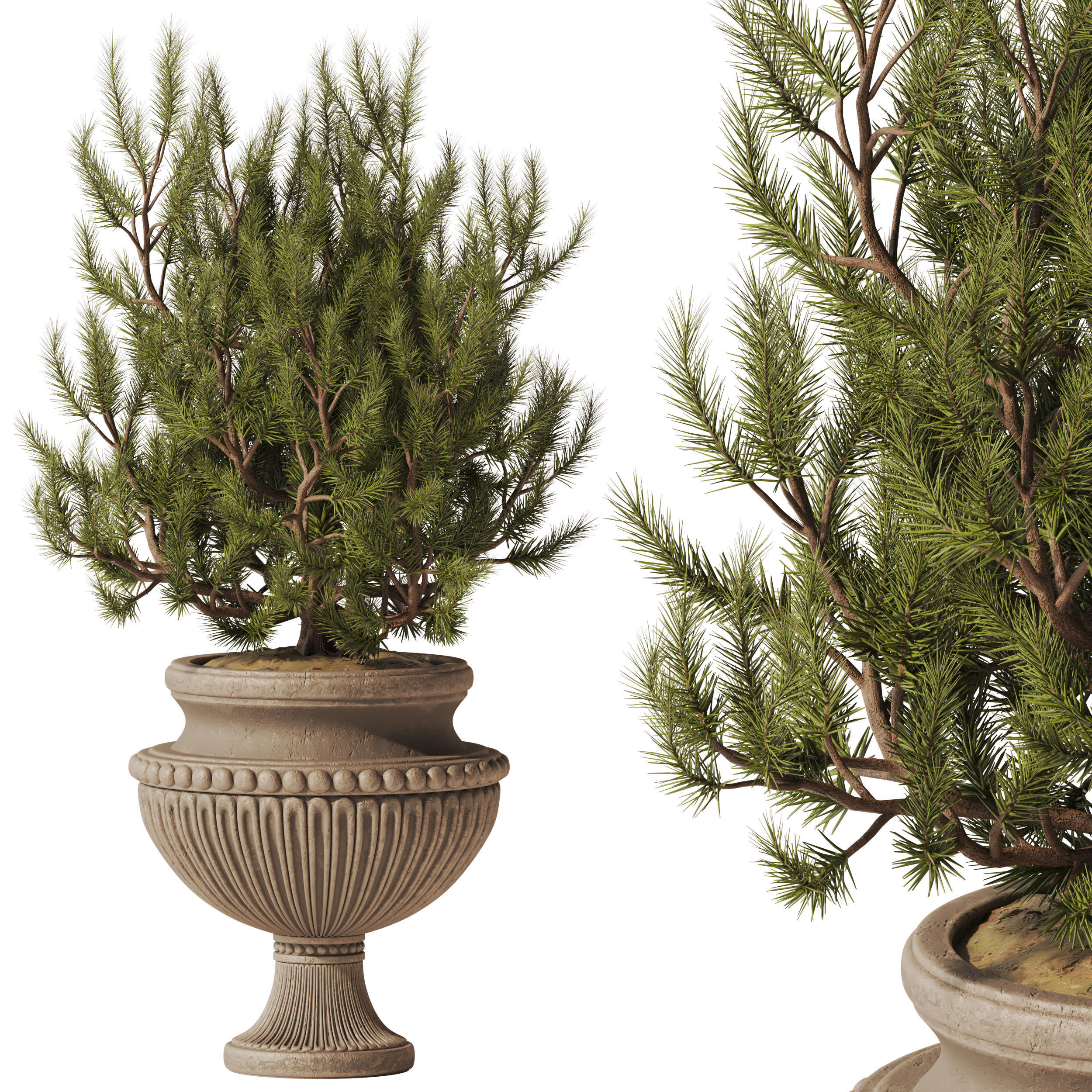 Decorative Pine In Classic Vase 3D model | CGTrader