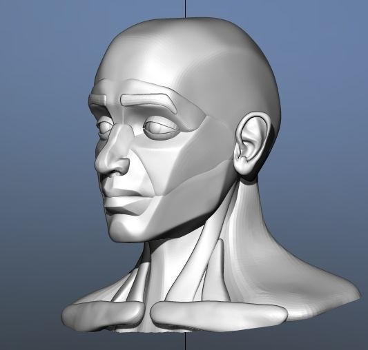 stylized head blocking 3D model | CGTrader