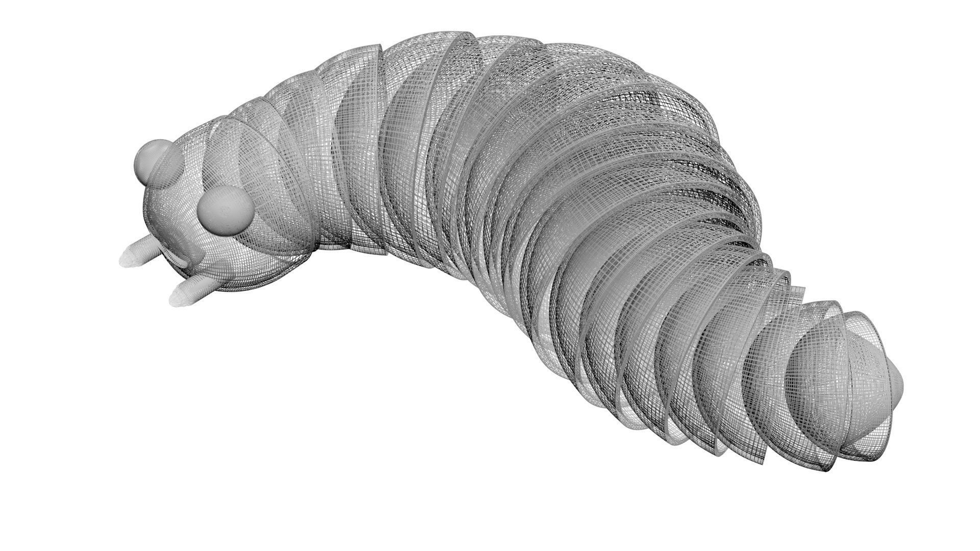 Fidget Slug 3D model | CGTrader