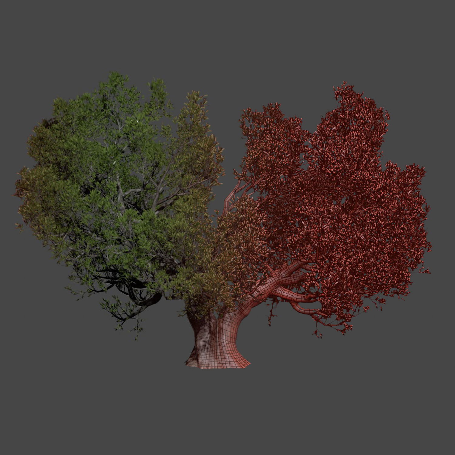 Natural Tree for landscape vol 219 3D model | CGTrader