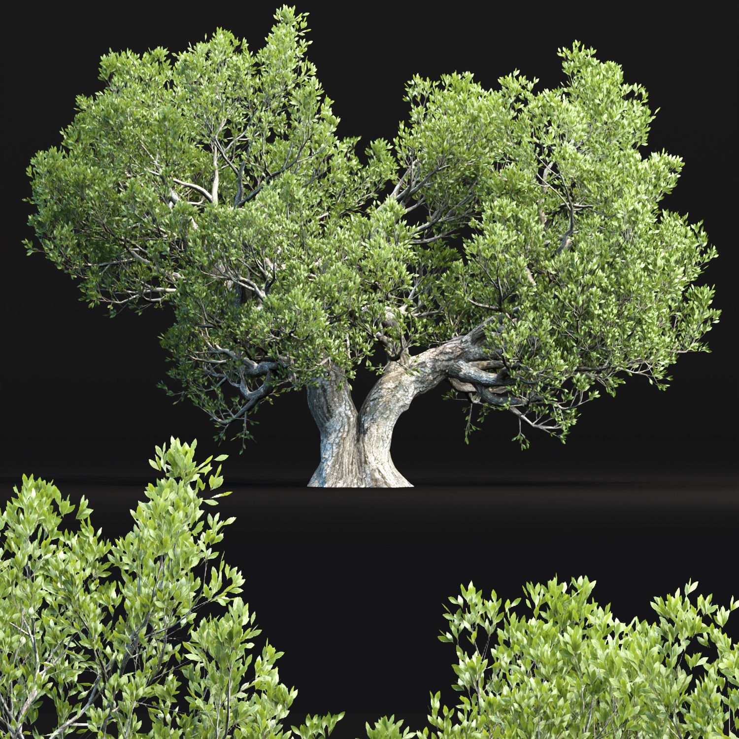 Natural Tree for landscape vol 219 3D model | CGTrader