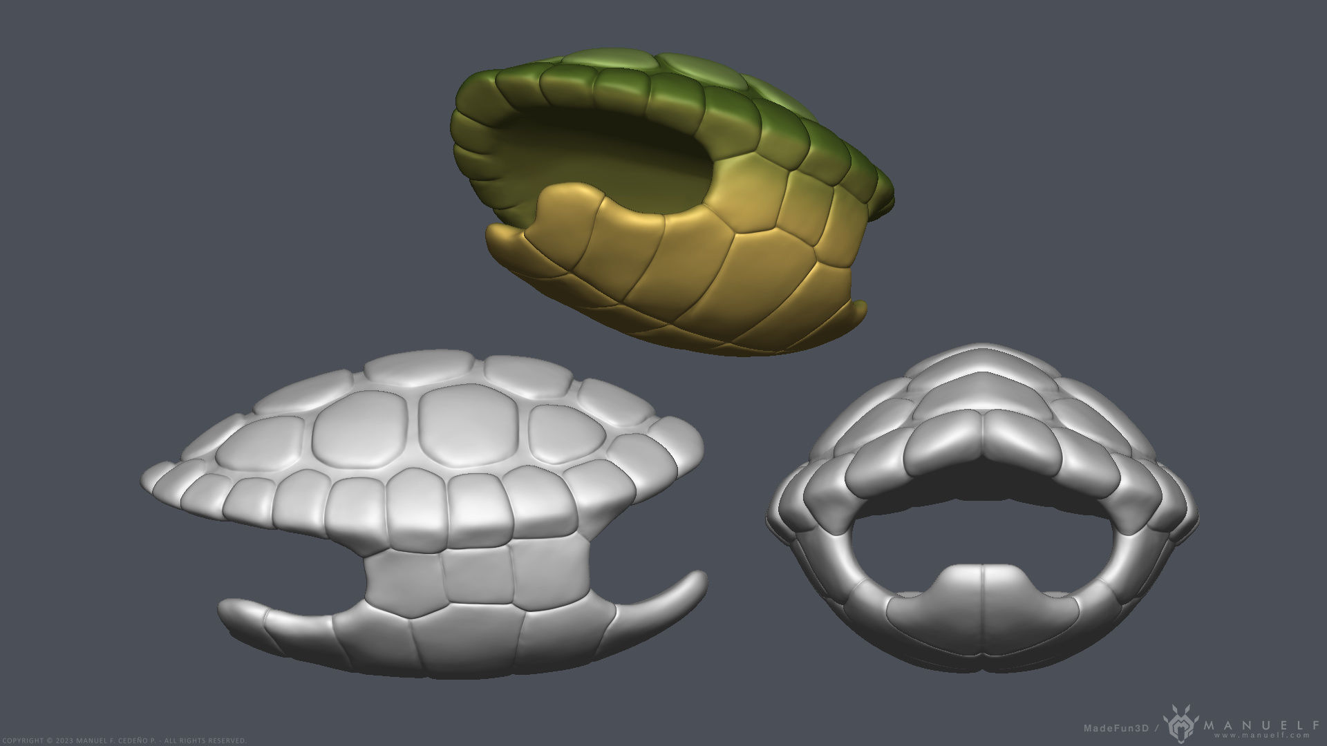 Stylized Cartoon Turtle Shell 3D model | CGTrader