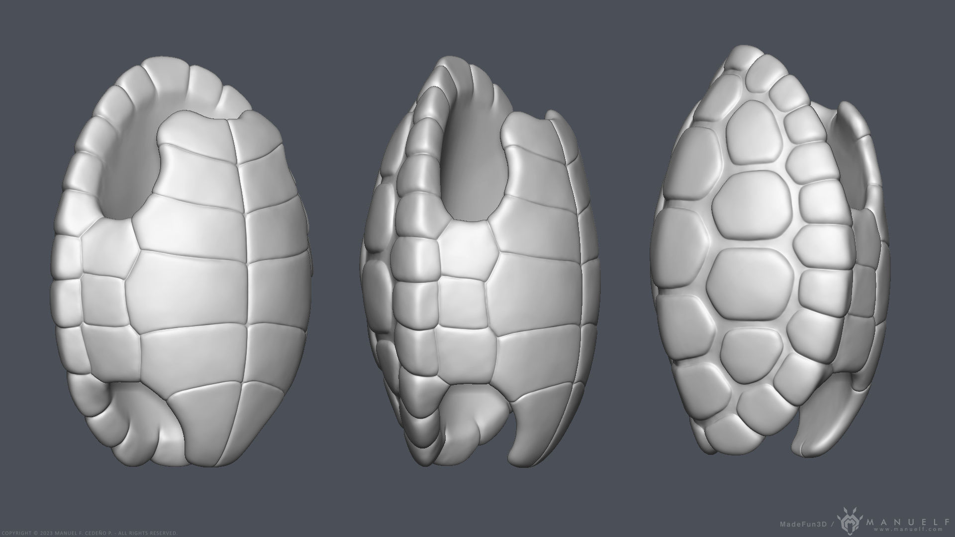 Stylized Cartoon Turtle Shell 3D model | CGTrader