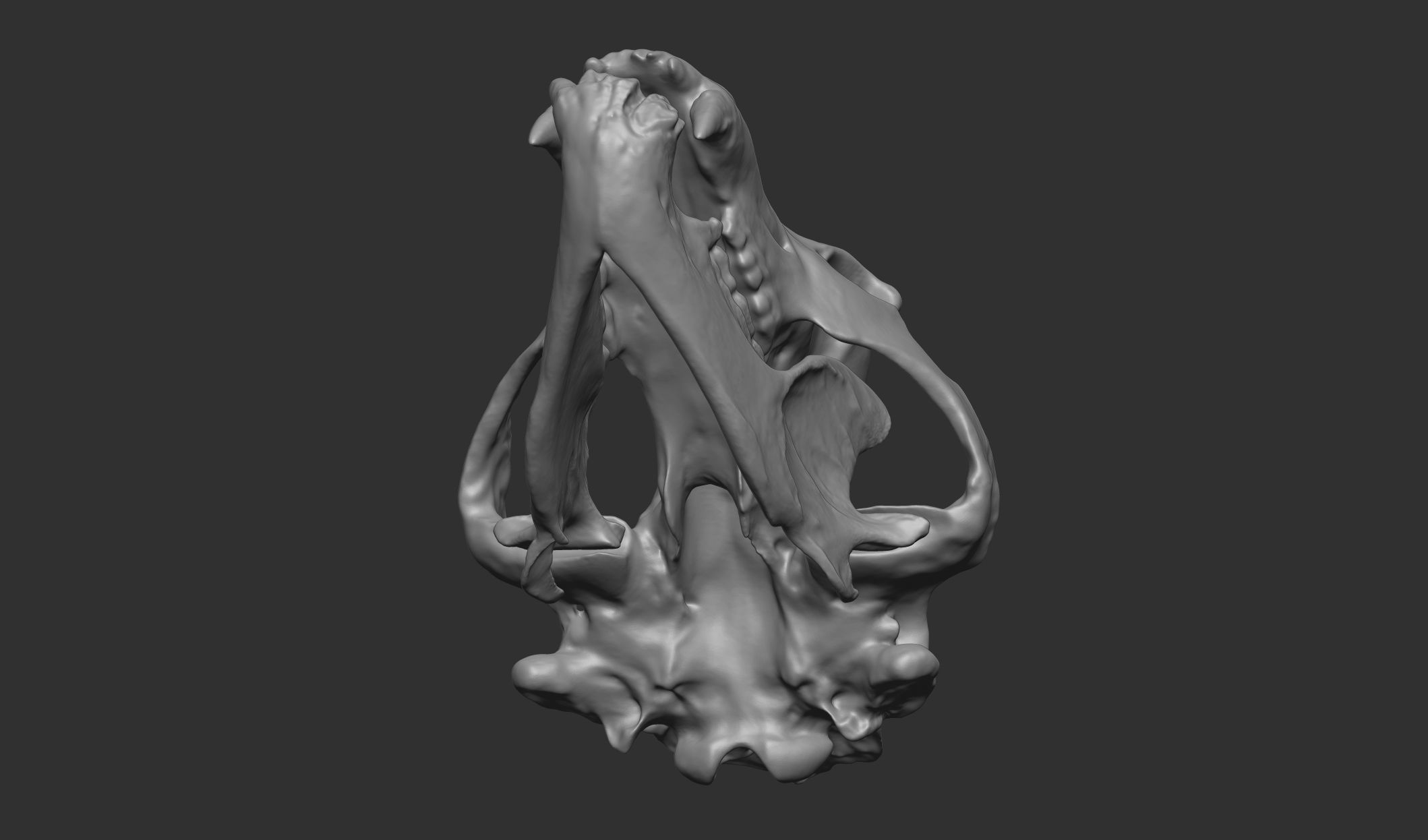 Bear Skull 3D Printable 3D model 3D printable | CGTrader