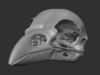 Raven Skull 3D model 3D printable | CGTrader