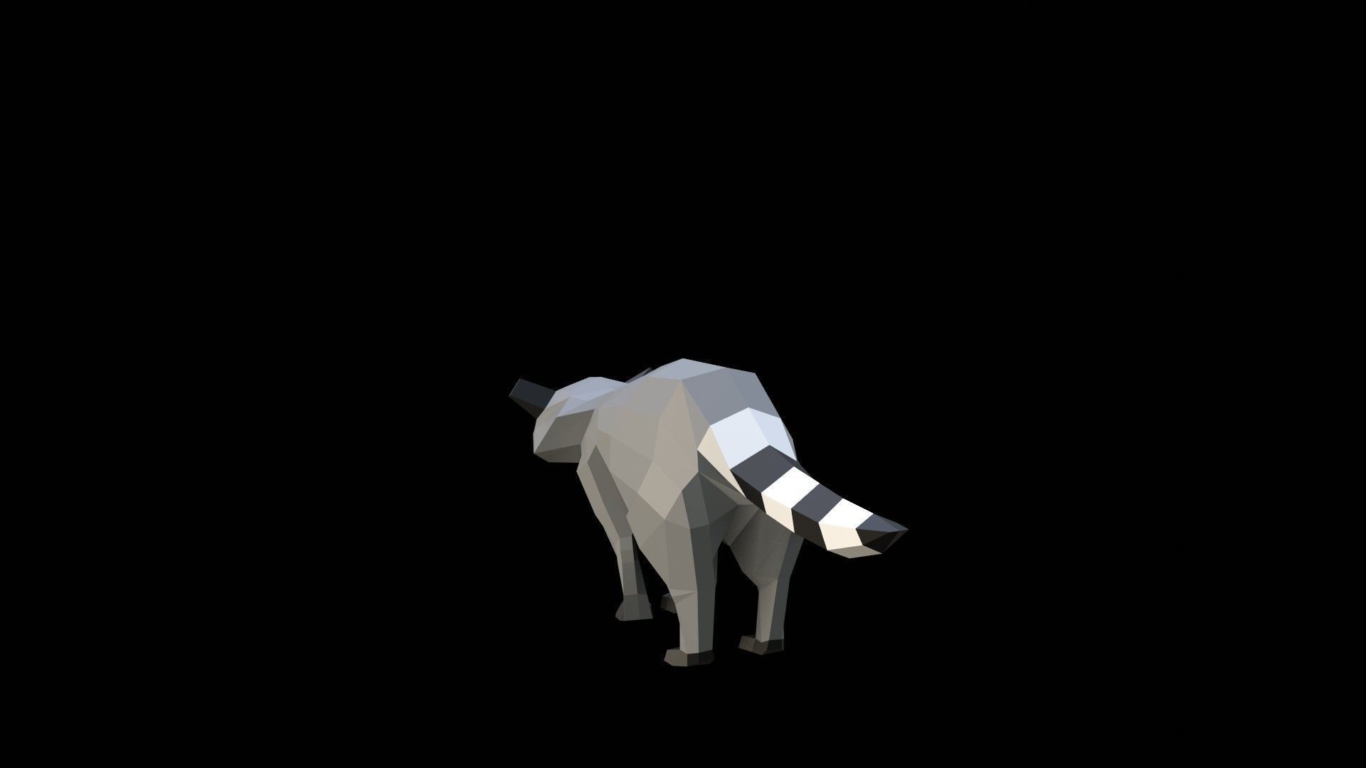 3D model Raccoon VR / AR / low-poly | CGTrader