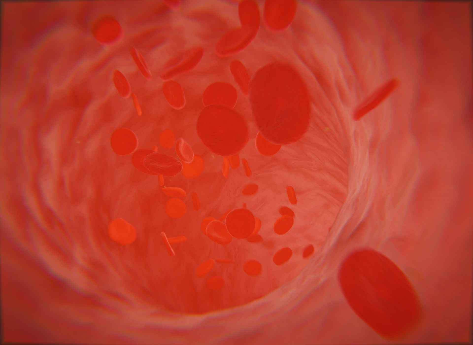 3D model Blood cells in Vein Medical Animation VR / AR / low-poly ...