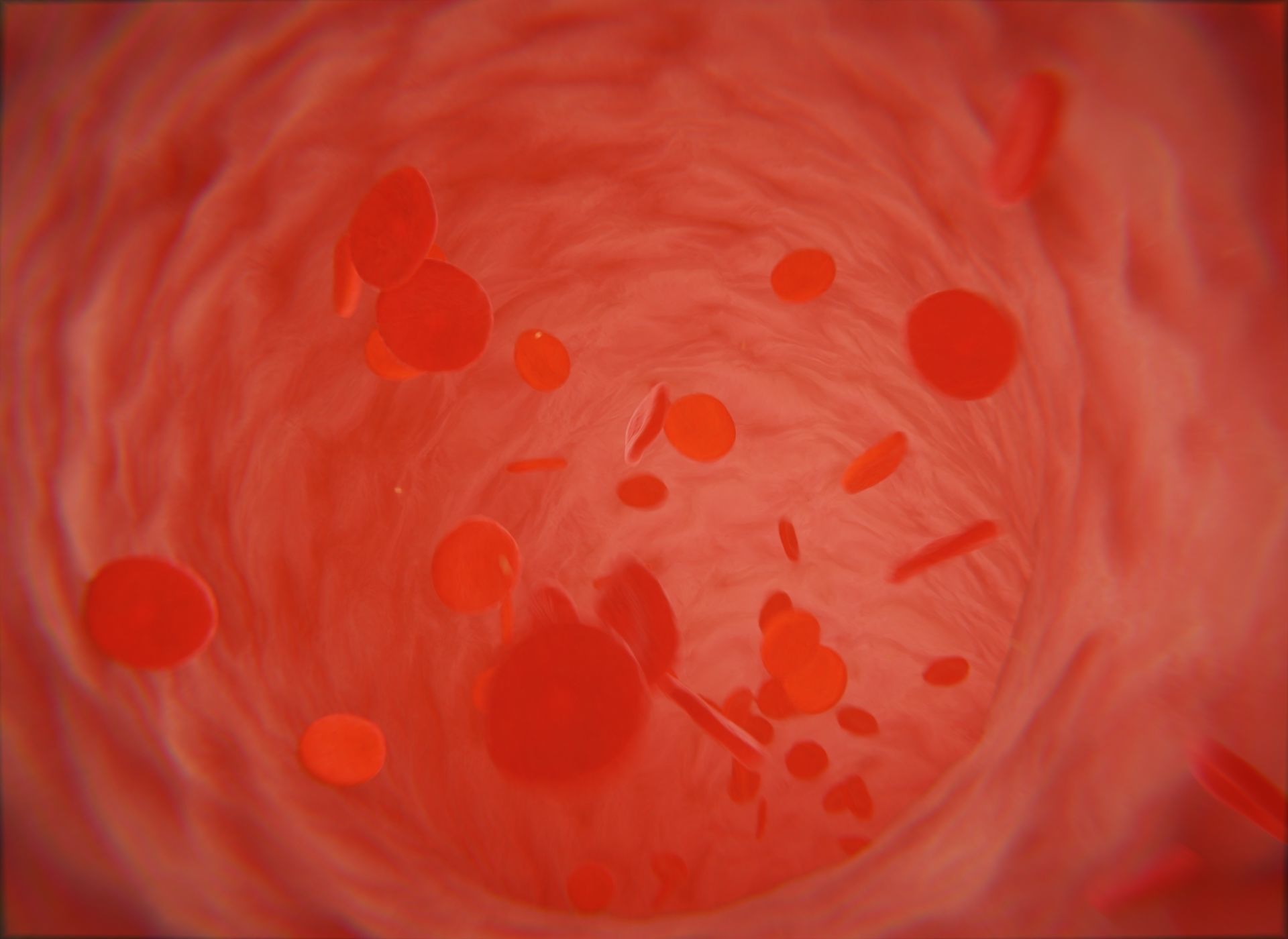 3D model Blood cells in Vein Medical Animation VR / AR / low-poly ...