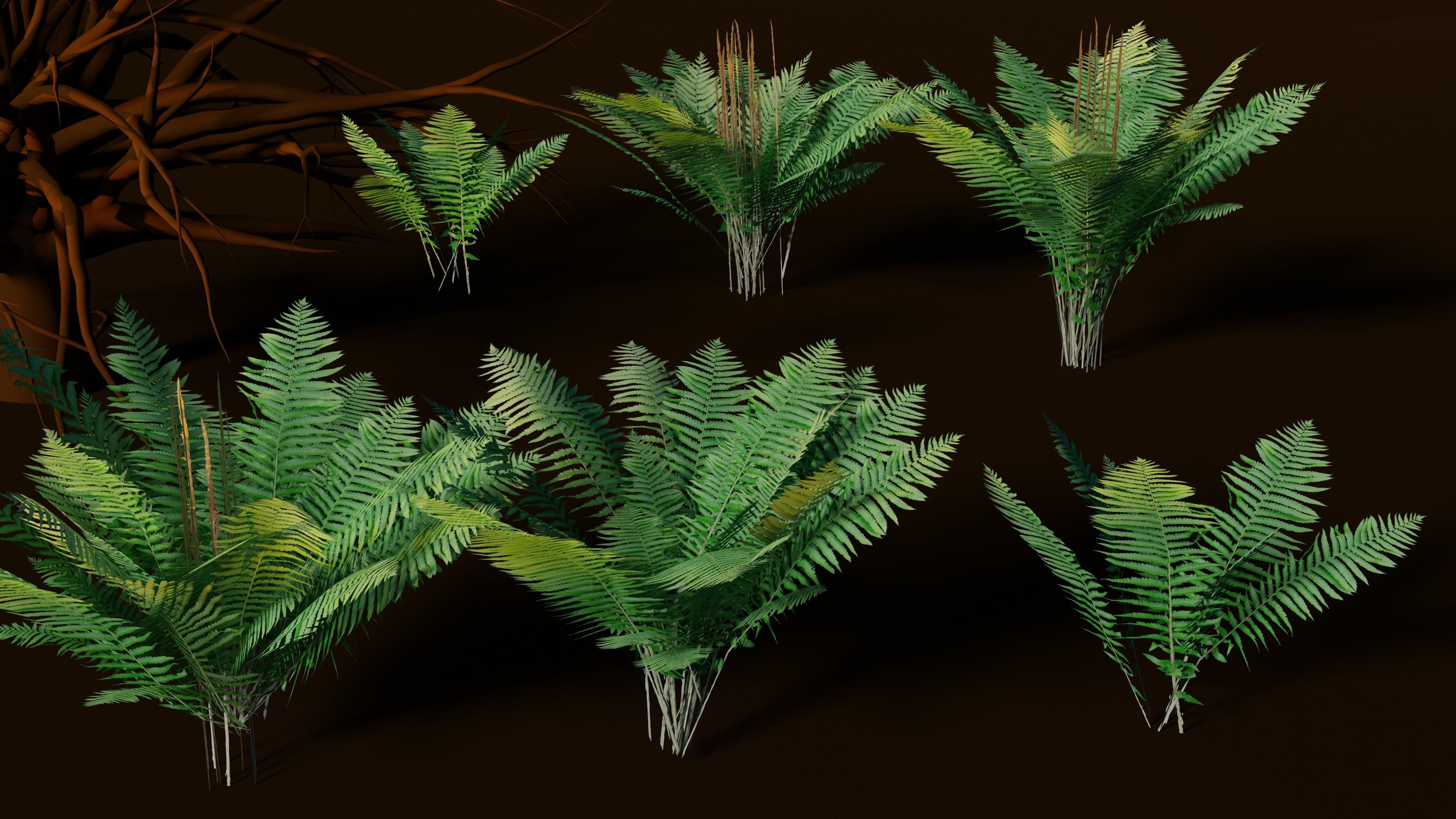 Cinnamon Fern free 3D model | CGTrader