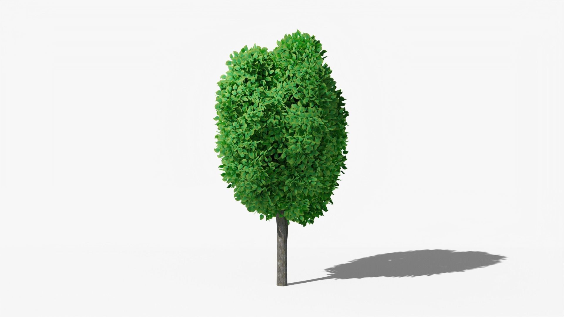 3D model Stylized Cartoon Tree v1 VR / AR / low-poly | CGTrader