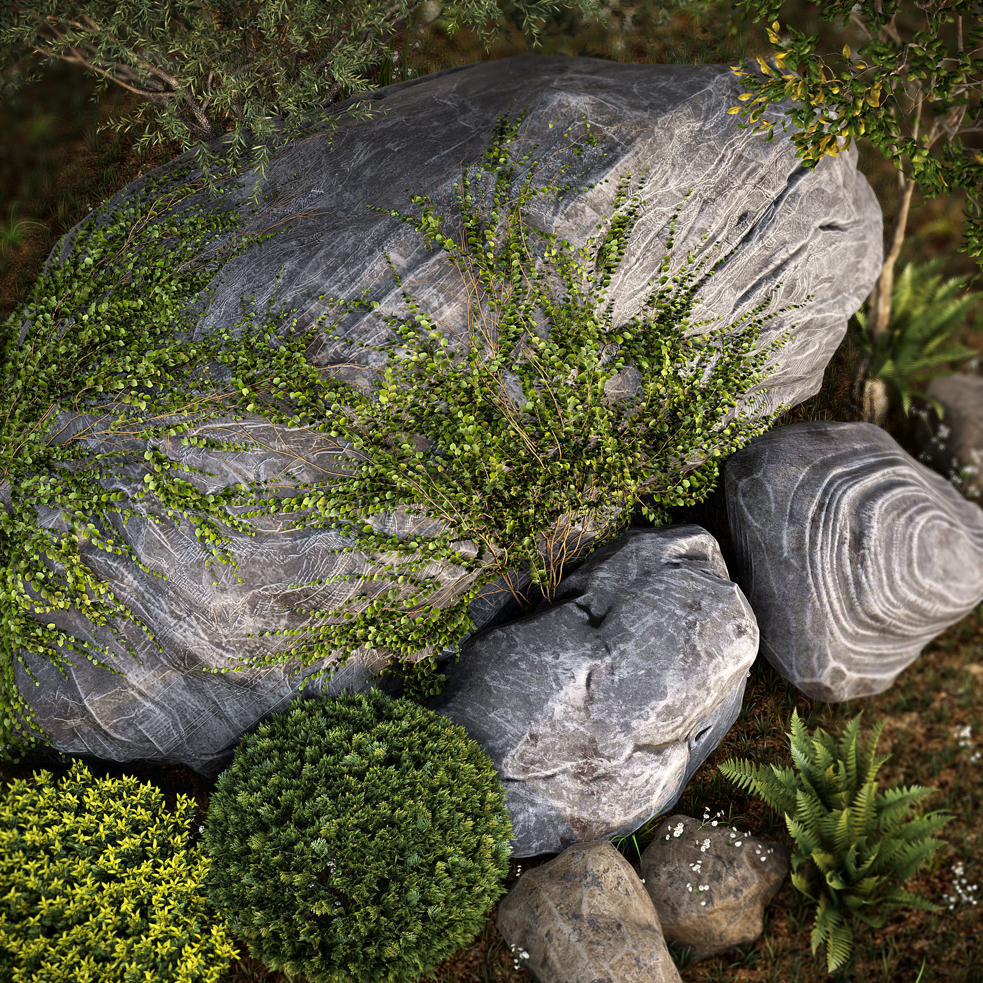 Rocks Plants Combination 3D model | CGTrader