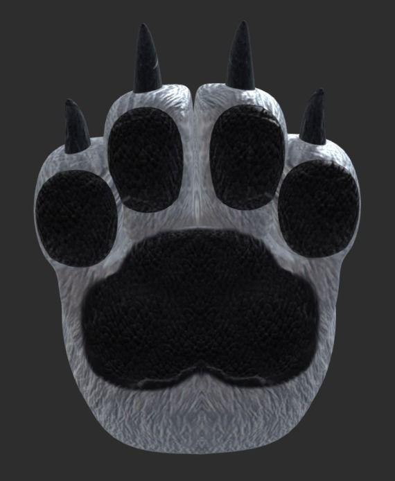 3D model 4 Digit Paws Low and High Poly Rigged Textured VR / AR / low ...