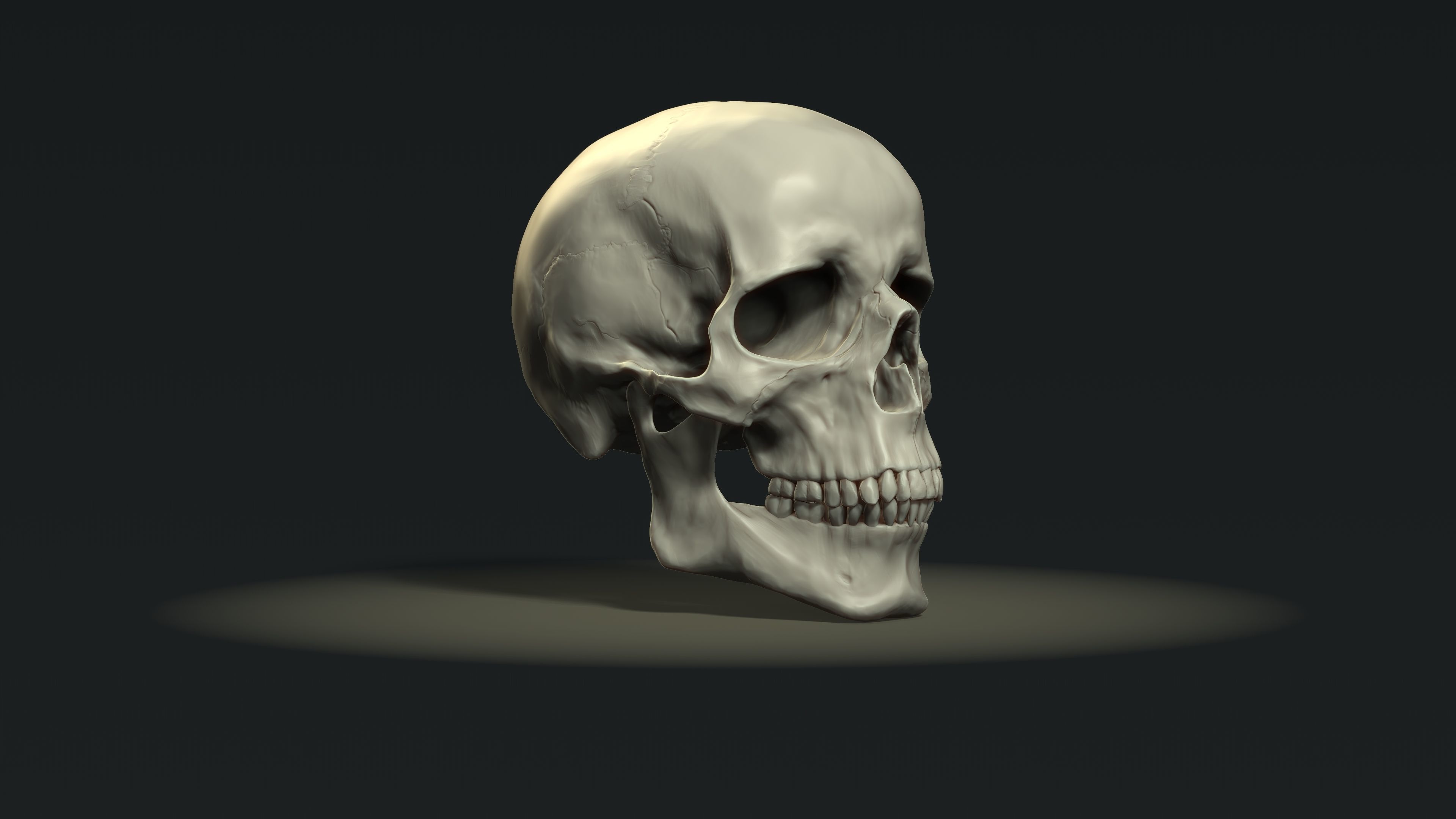 human skull 3D model 3D printable | CGTrader