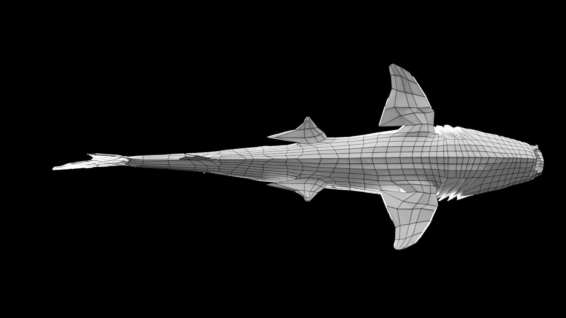 3D model Bamboo Shark Base Mesh VR / AR / low-poly | CGTrader