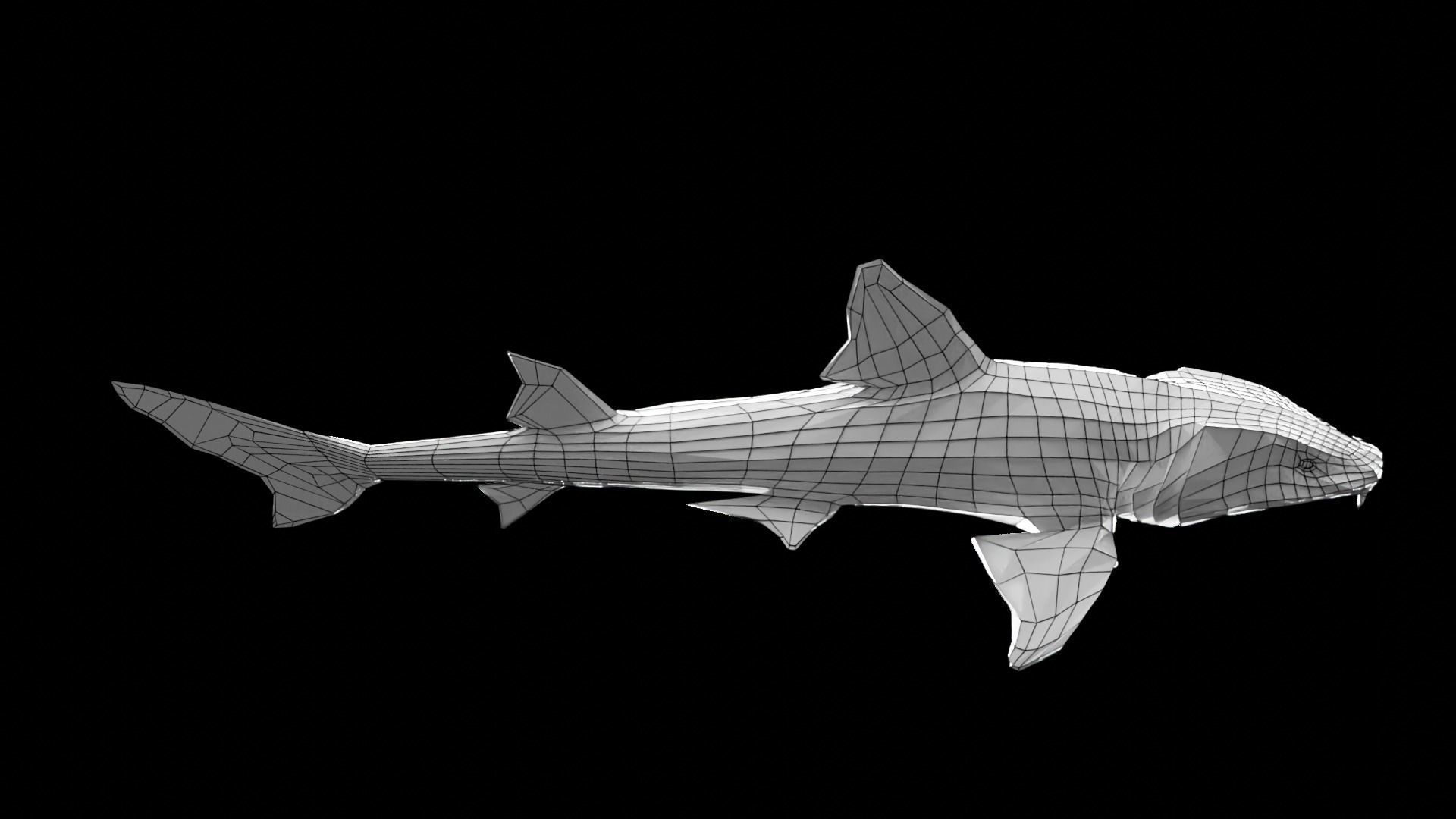 3D model Bamboo Shark Base Mesh VR / AR / low-poly | CGTrader