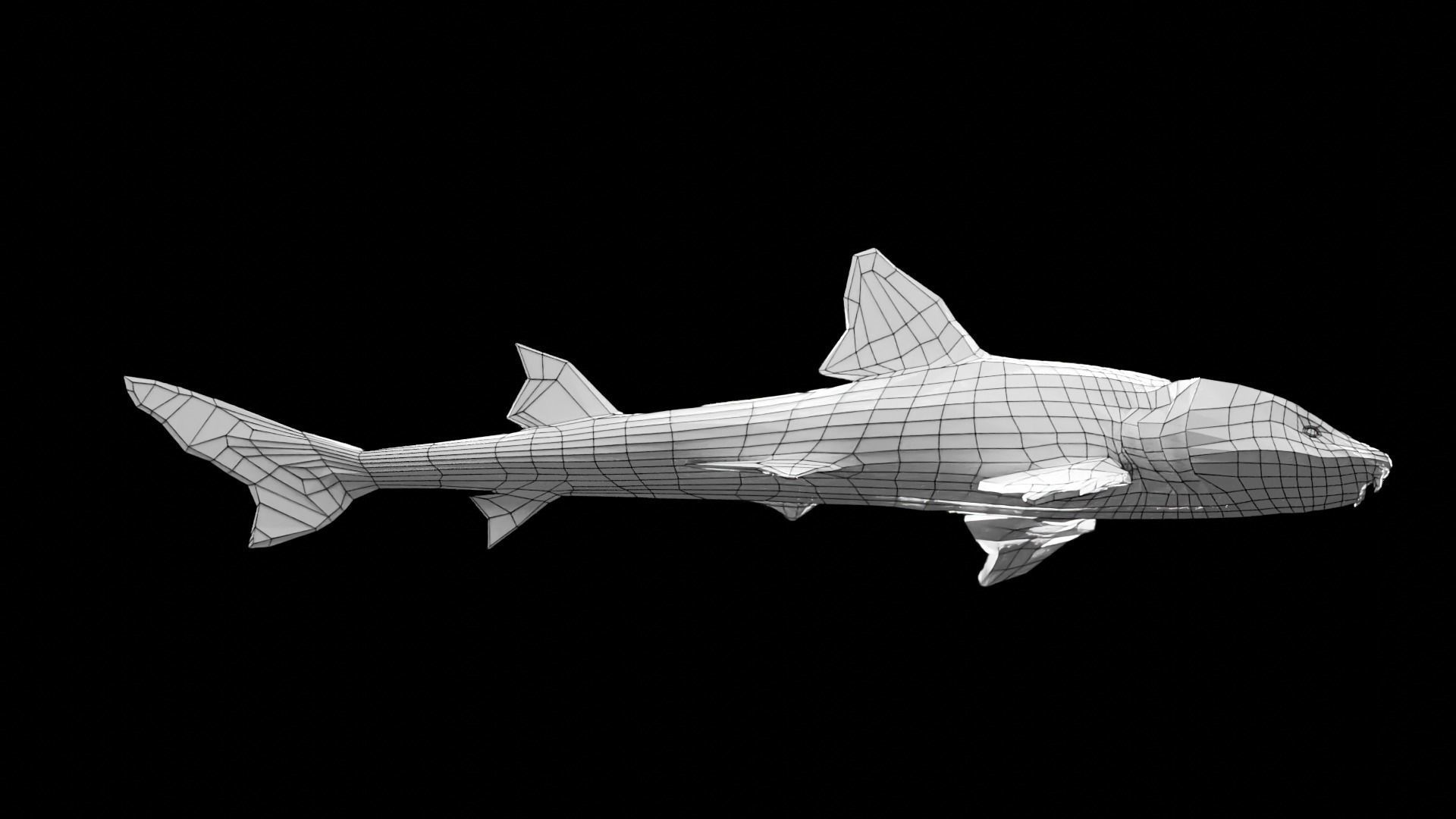 3D model Bamboo Shark Base Mesh VR / AR / low-poly | CGTrader