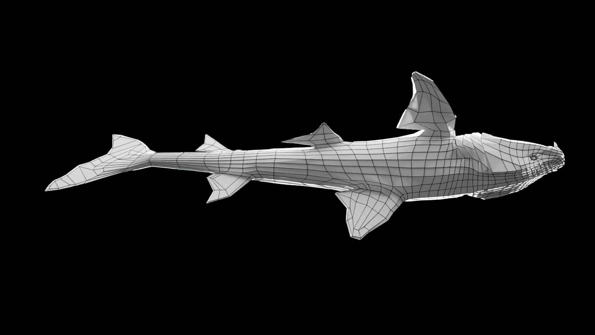 3D model Bamboo Shark Base Mesh VR / AR / low-poly | CGTrader
