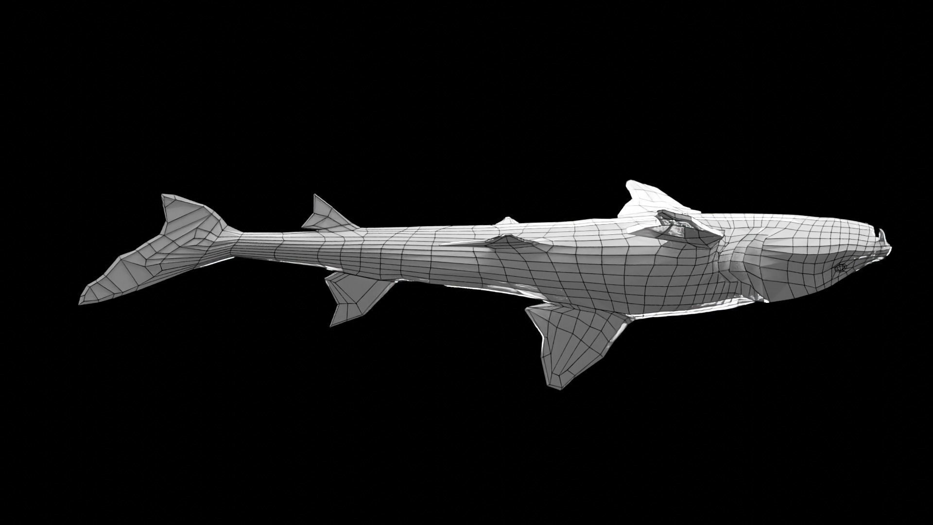3D model Bamboo Shark Base Mesh VR / AR / low-poly | CGTrader