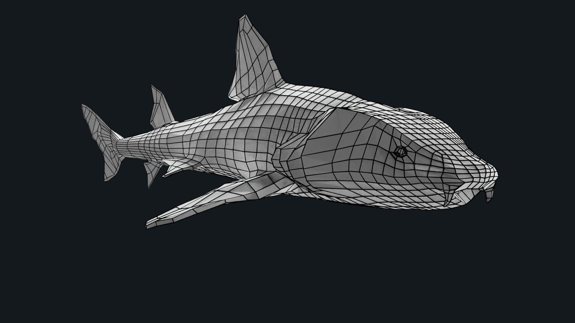 3D model Bamboo Shark Base Mesh VR / AR / low-poly | CGTrader
