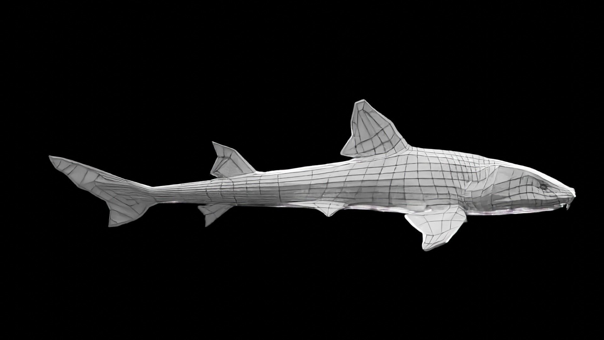 3D model Bamboo Shark Base Mesh VR / AR / low-poly | CGTrader