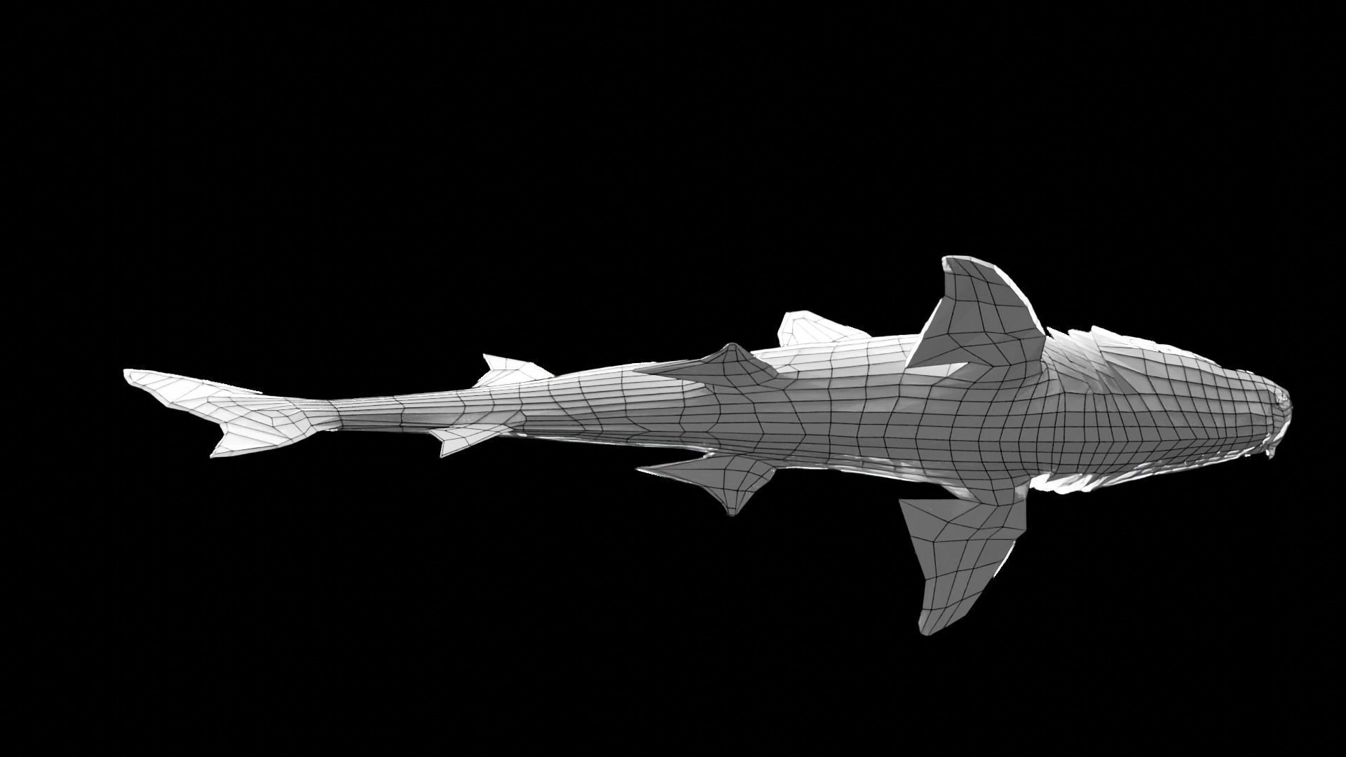 3D model Bamboo Shark Base Mesh VR / AR / low-poly | CGTrader
