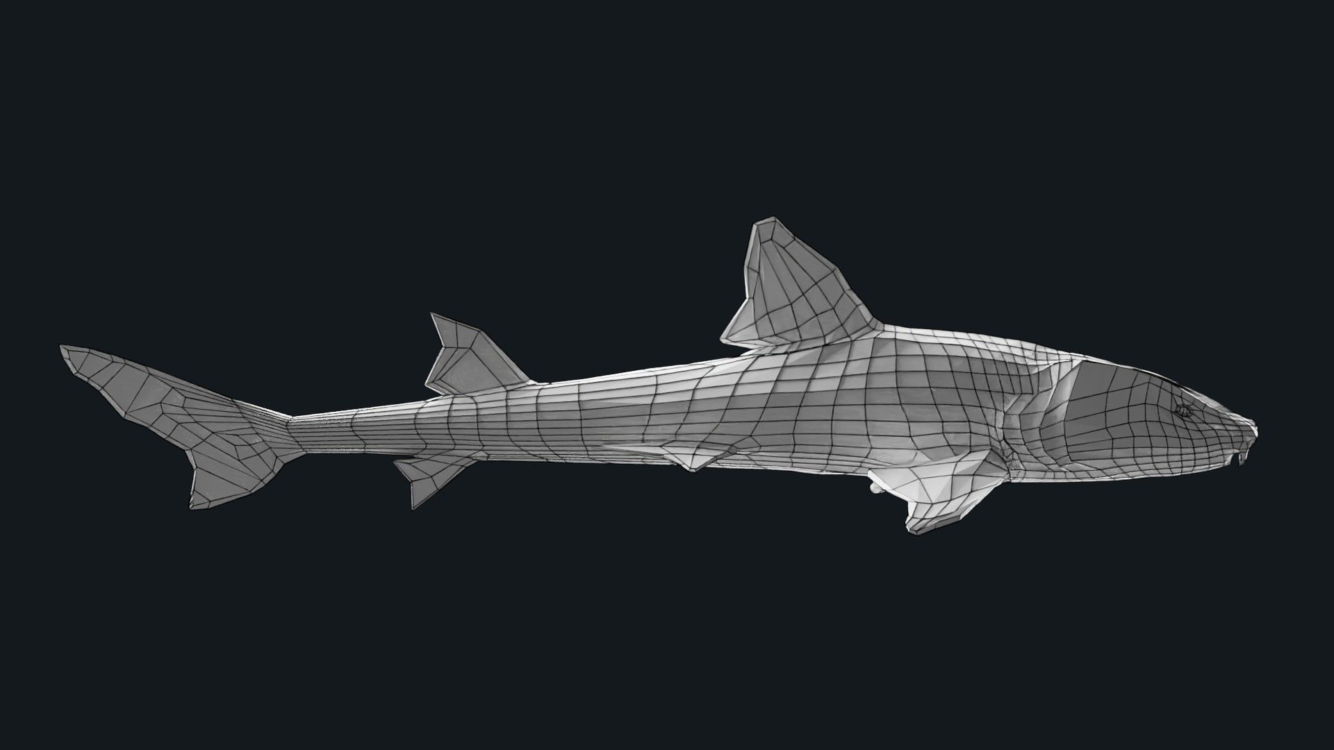 3D model Bamboo Shark Base Mesh VR / AR / low-poly | CGTrader