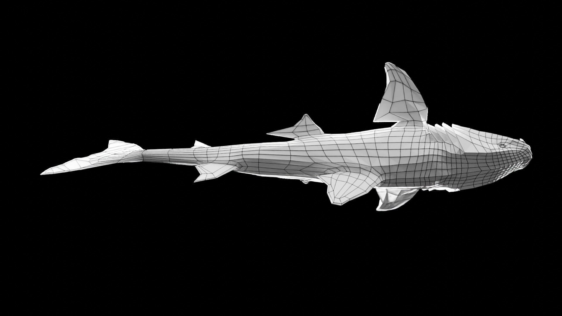 3D model Bamboo Shark Base Mesh VR / AR / low-poly | CGTrader