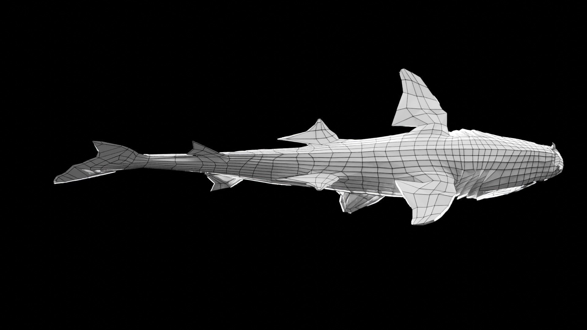 3D model Bamboo Shark Base Mesh VR / AR / low-poly | CGTrader