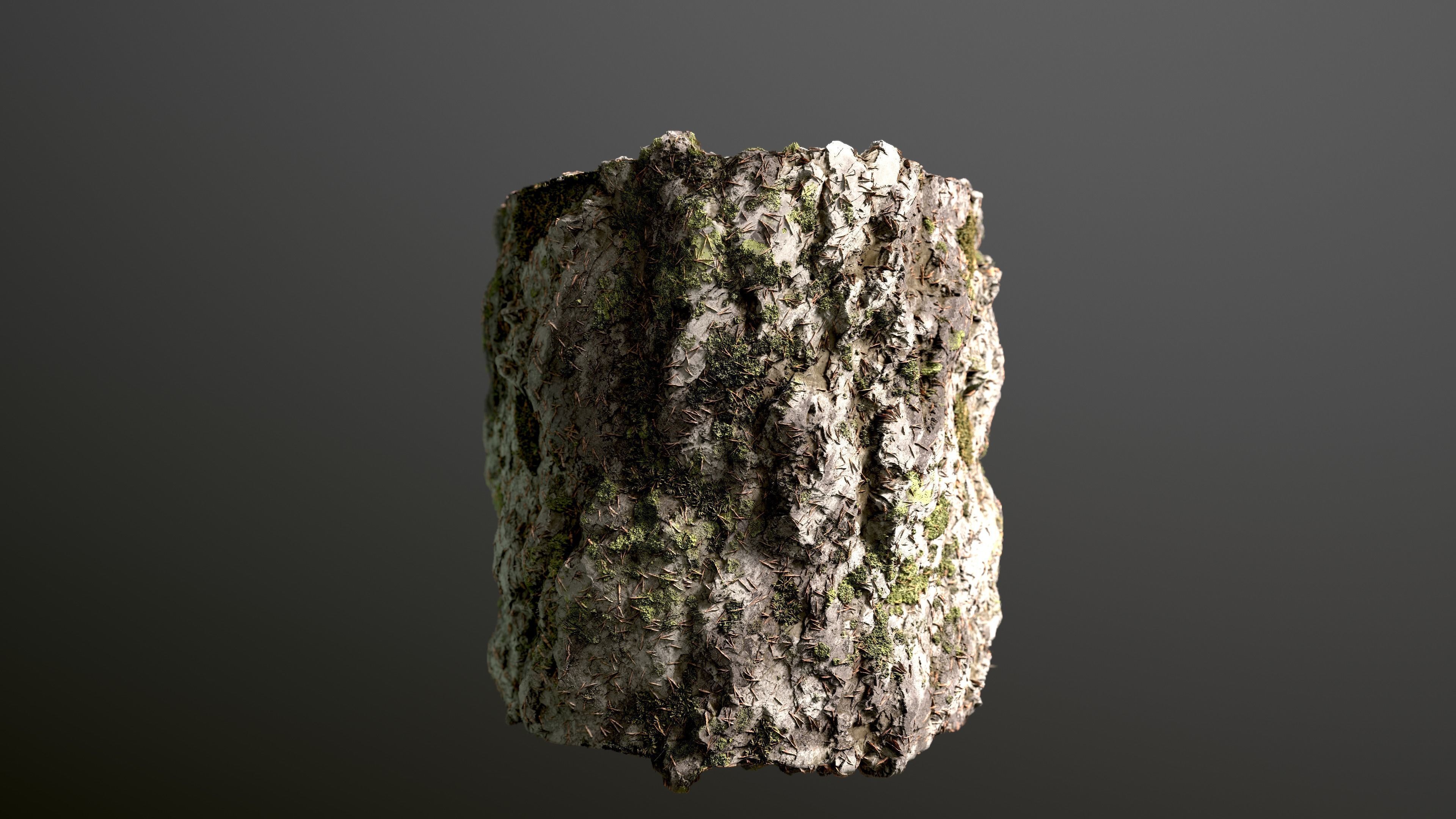 3D Mossy Rocky Surface Substance Designer material Texture | CGTrader