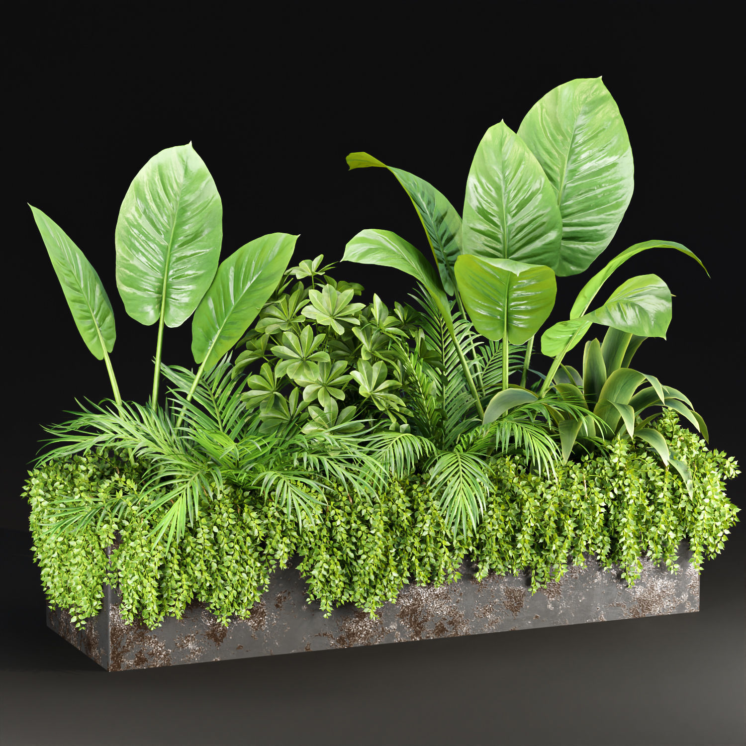 plants collection vol 220 3D model | CGTrader