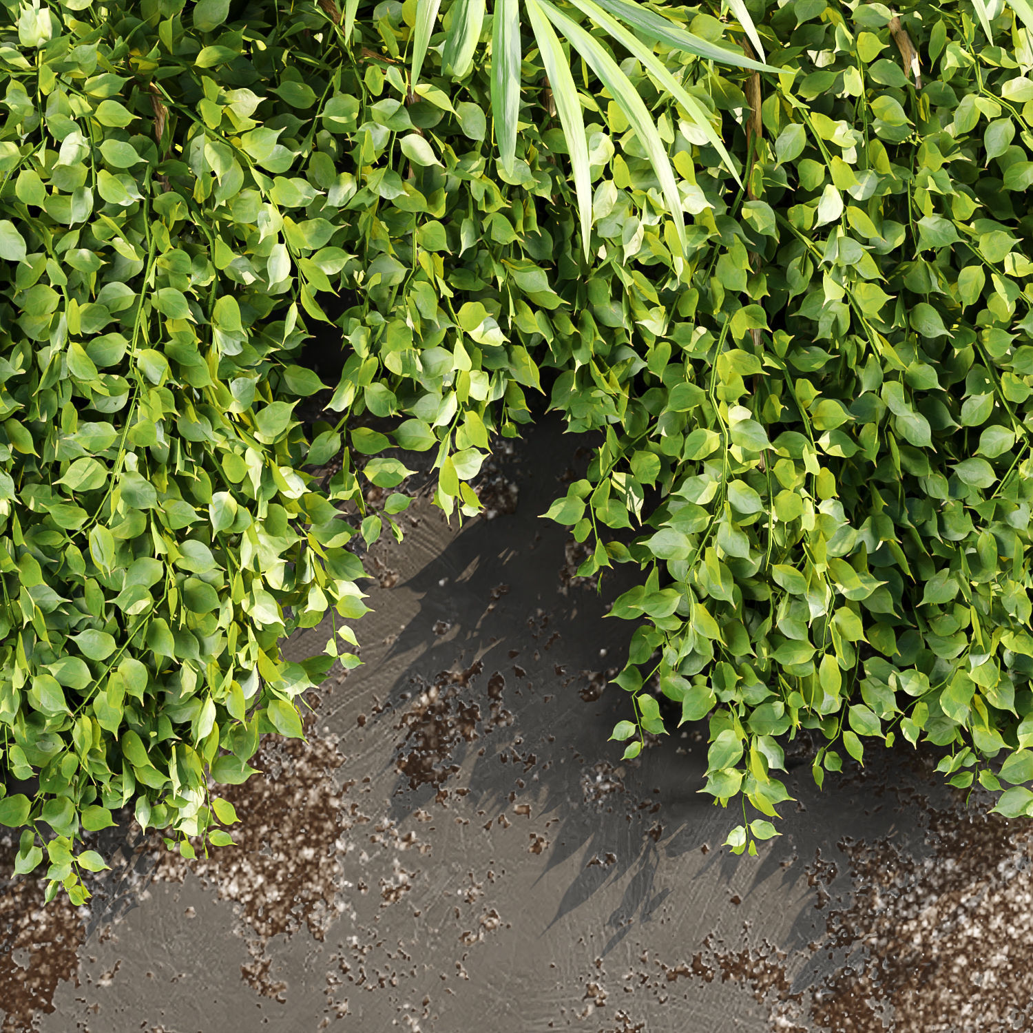 plants collection vol 220 3D model | CGTrader