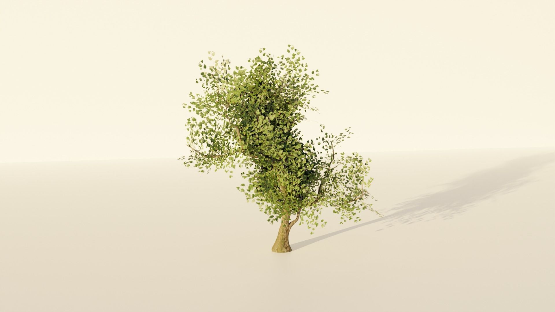 3D Tree Model free 3D model | CGTrader