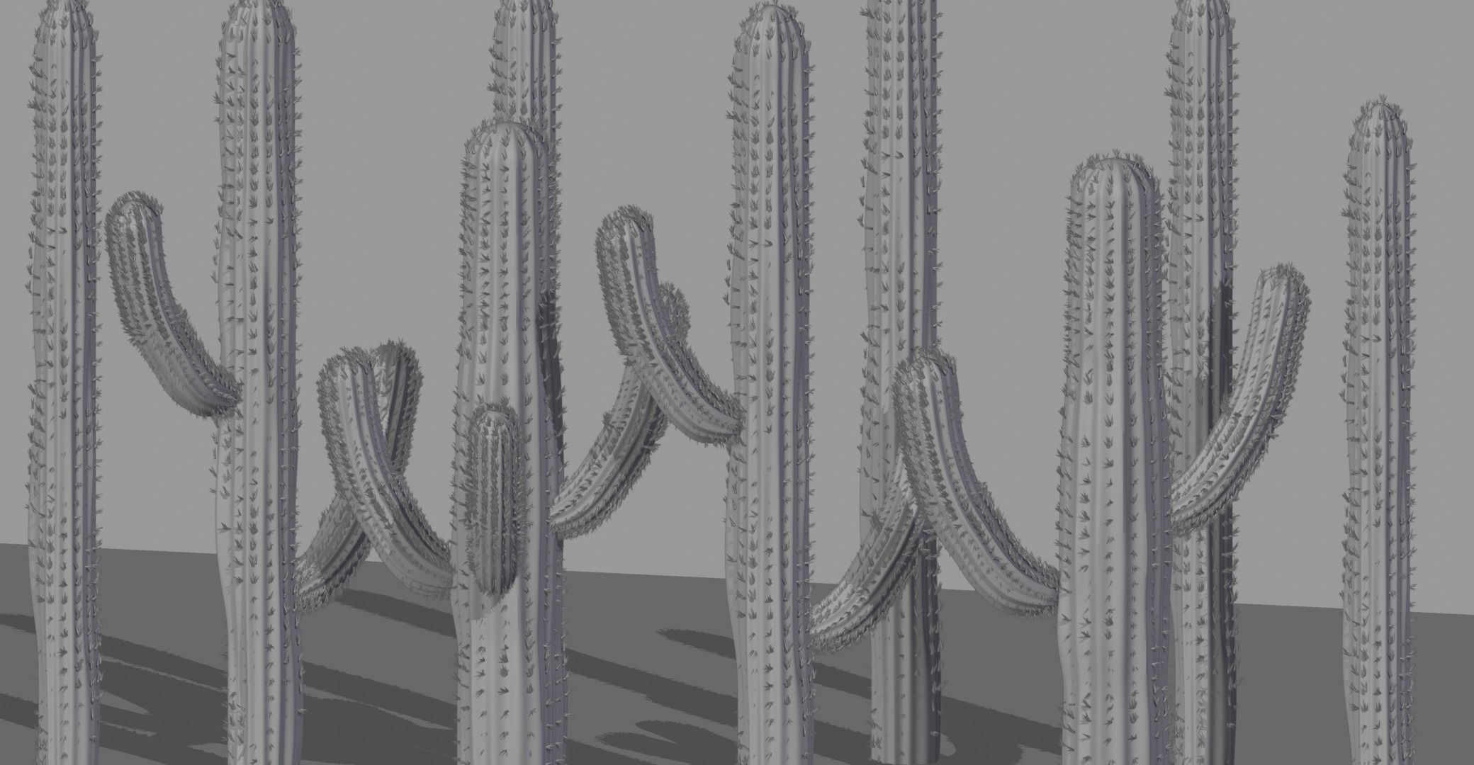 CACTUS MODELING IN BLENDER 3D model | CGTrader