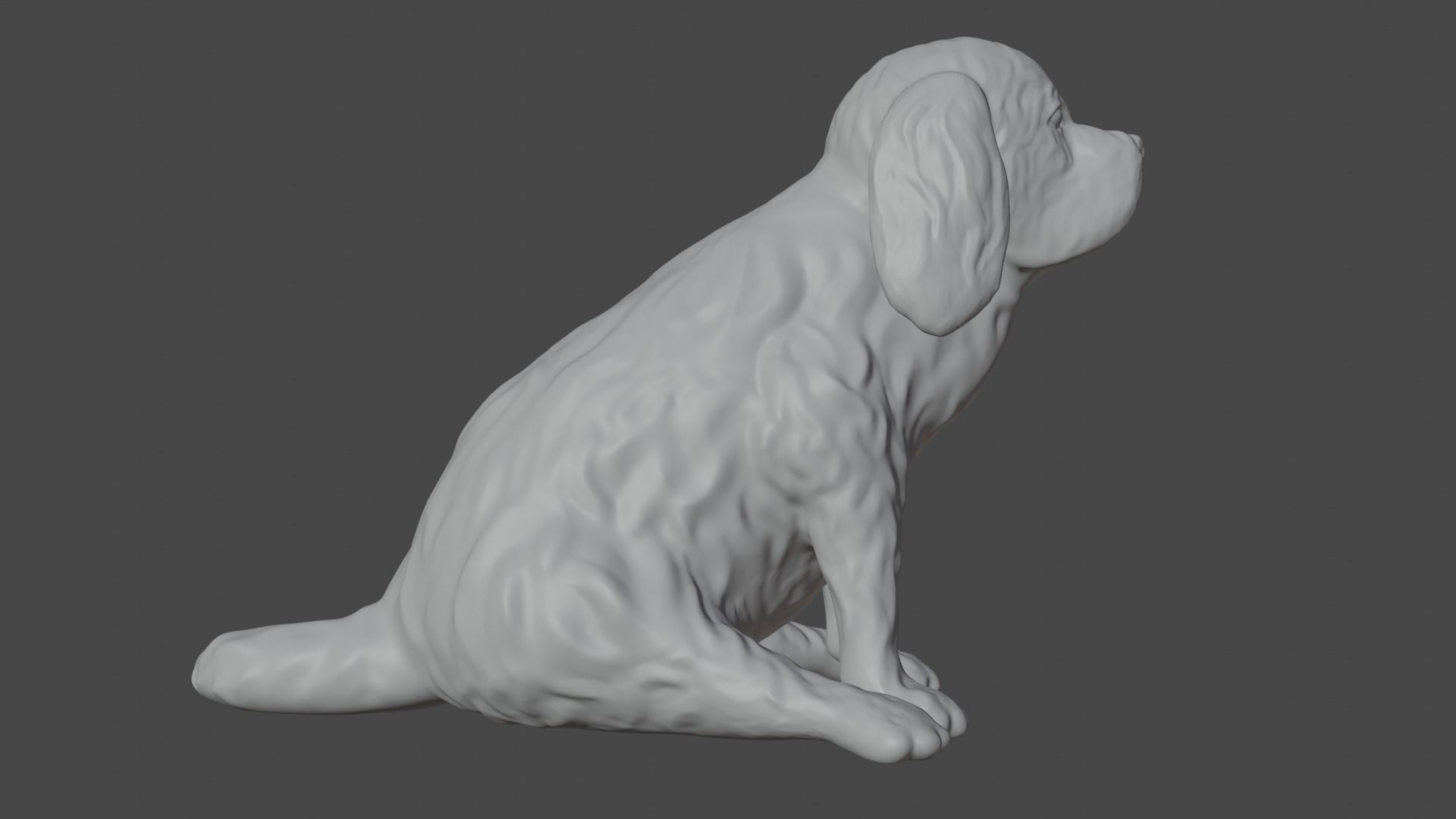 Cavalier King Charles Spaniel PRINT-READY in FBX STL OBJ 3MF 3D model ...