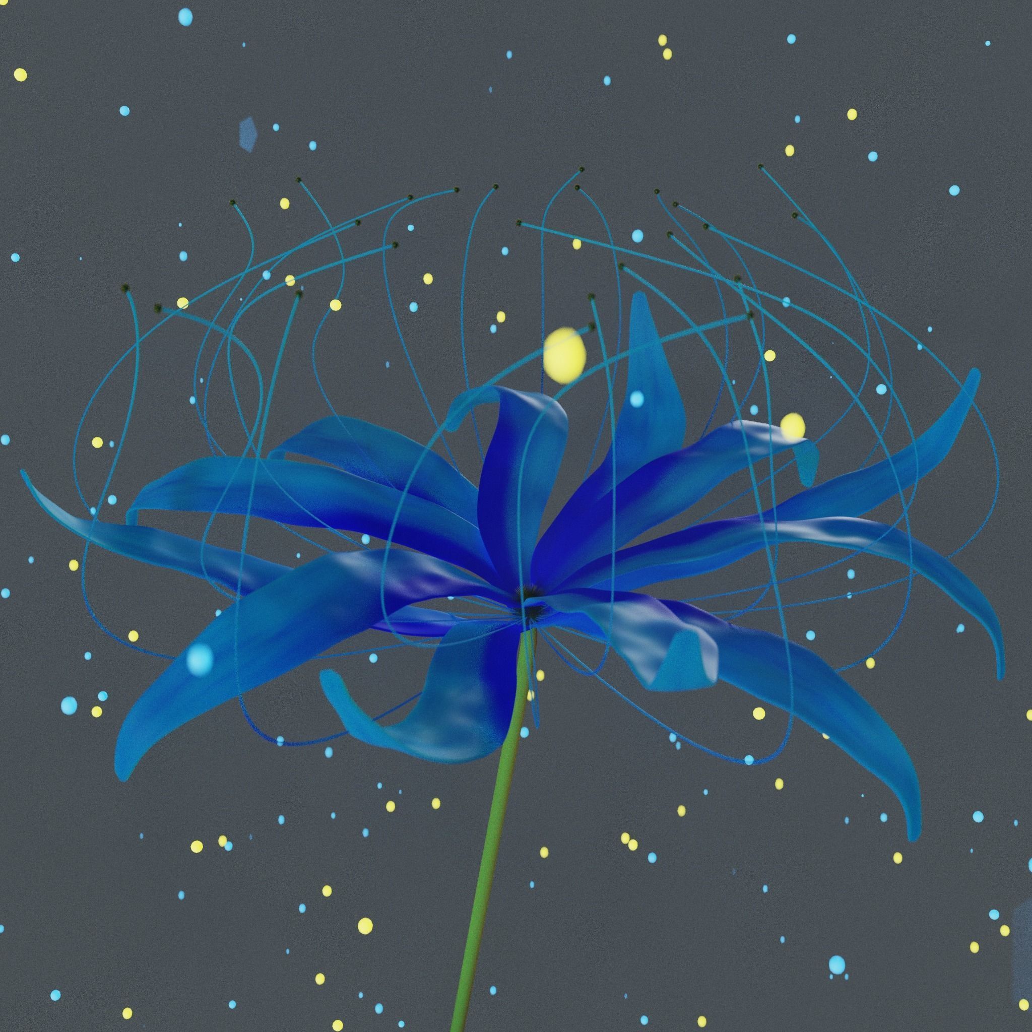 Blue Spider Lily 3D model | CGTrader