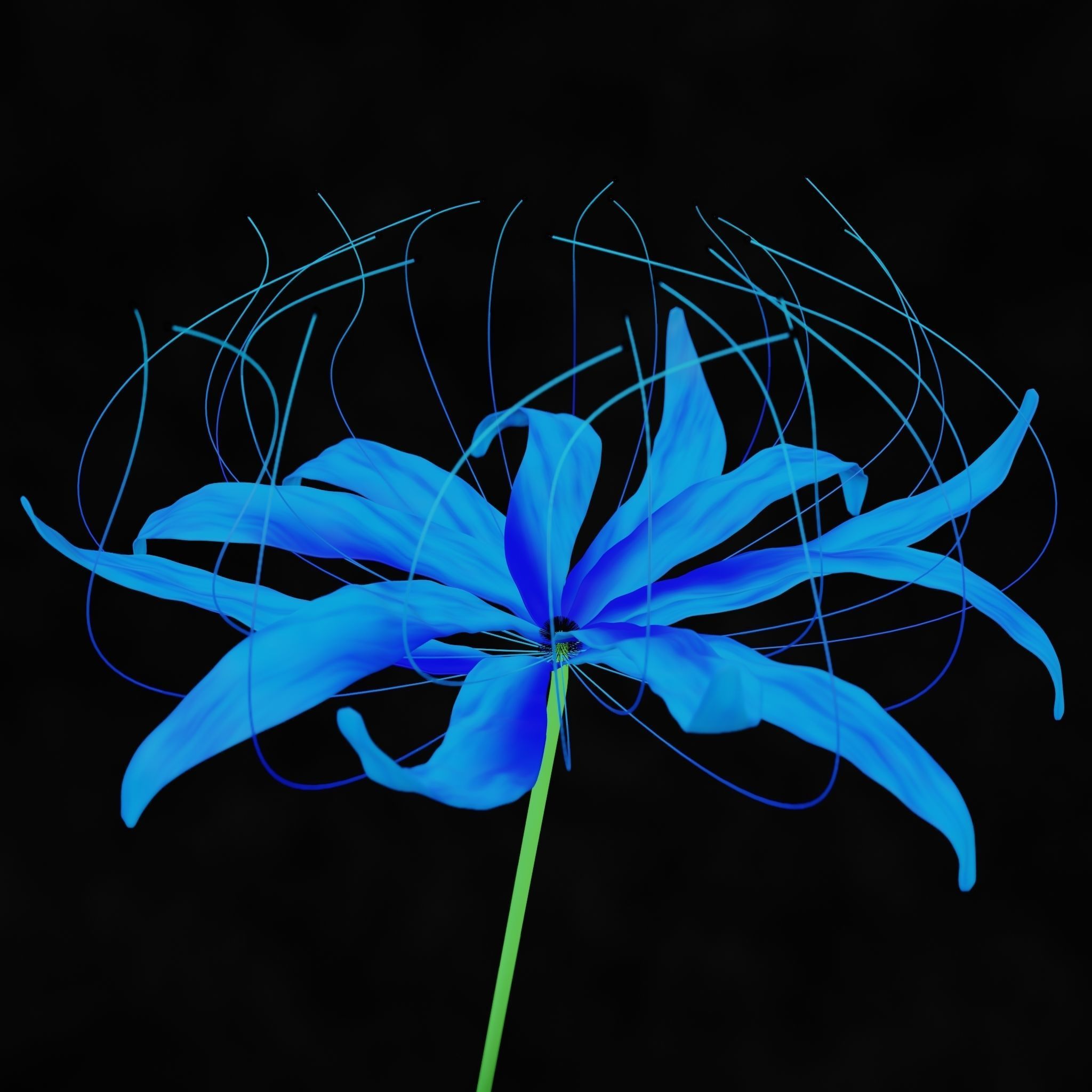 Blue Spider Lily 3D model | CGTrader
