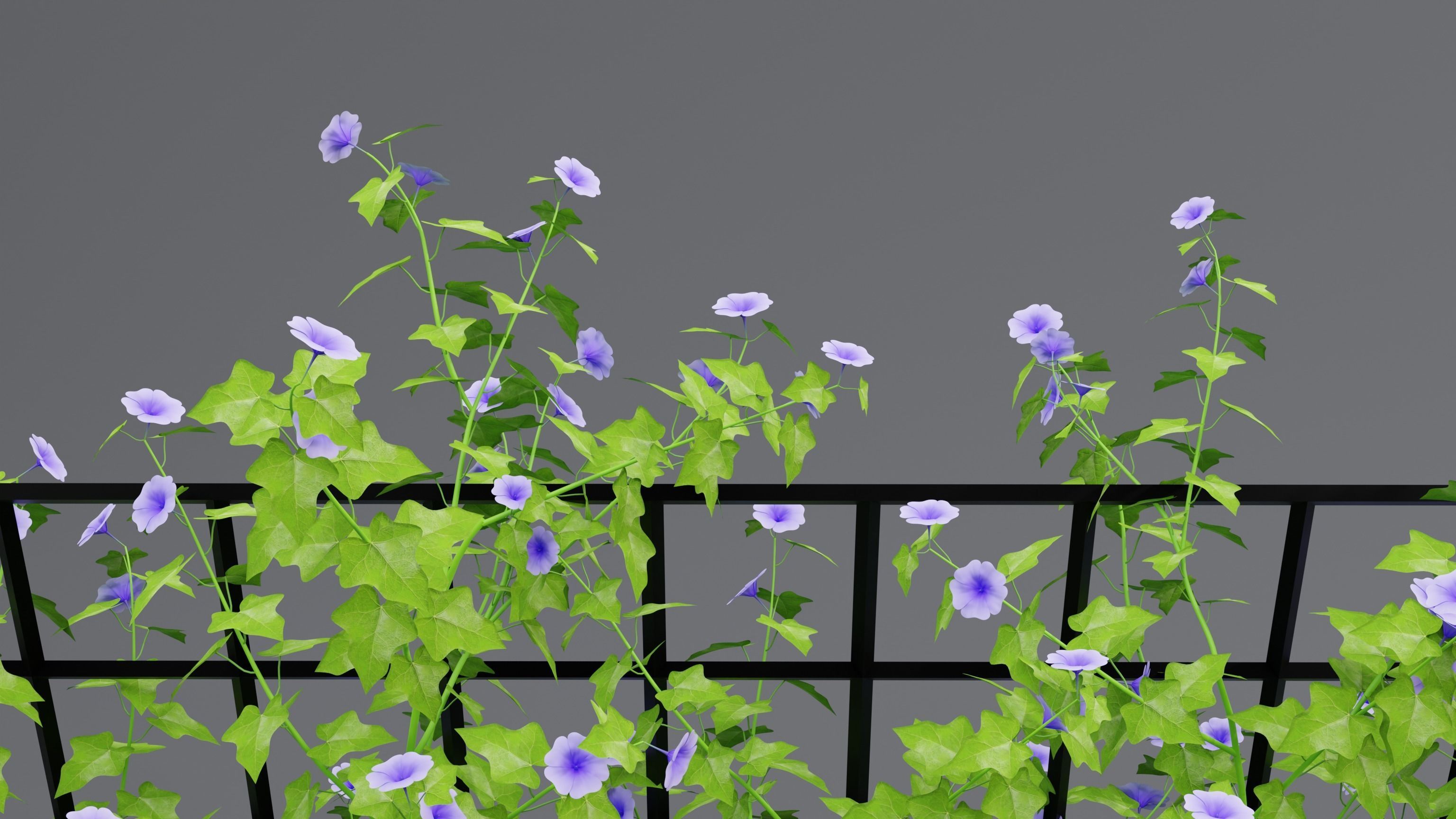 3d Flower Wall 3D model | CGTrader