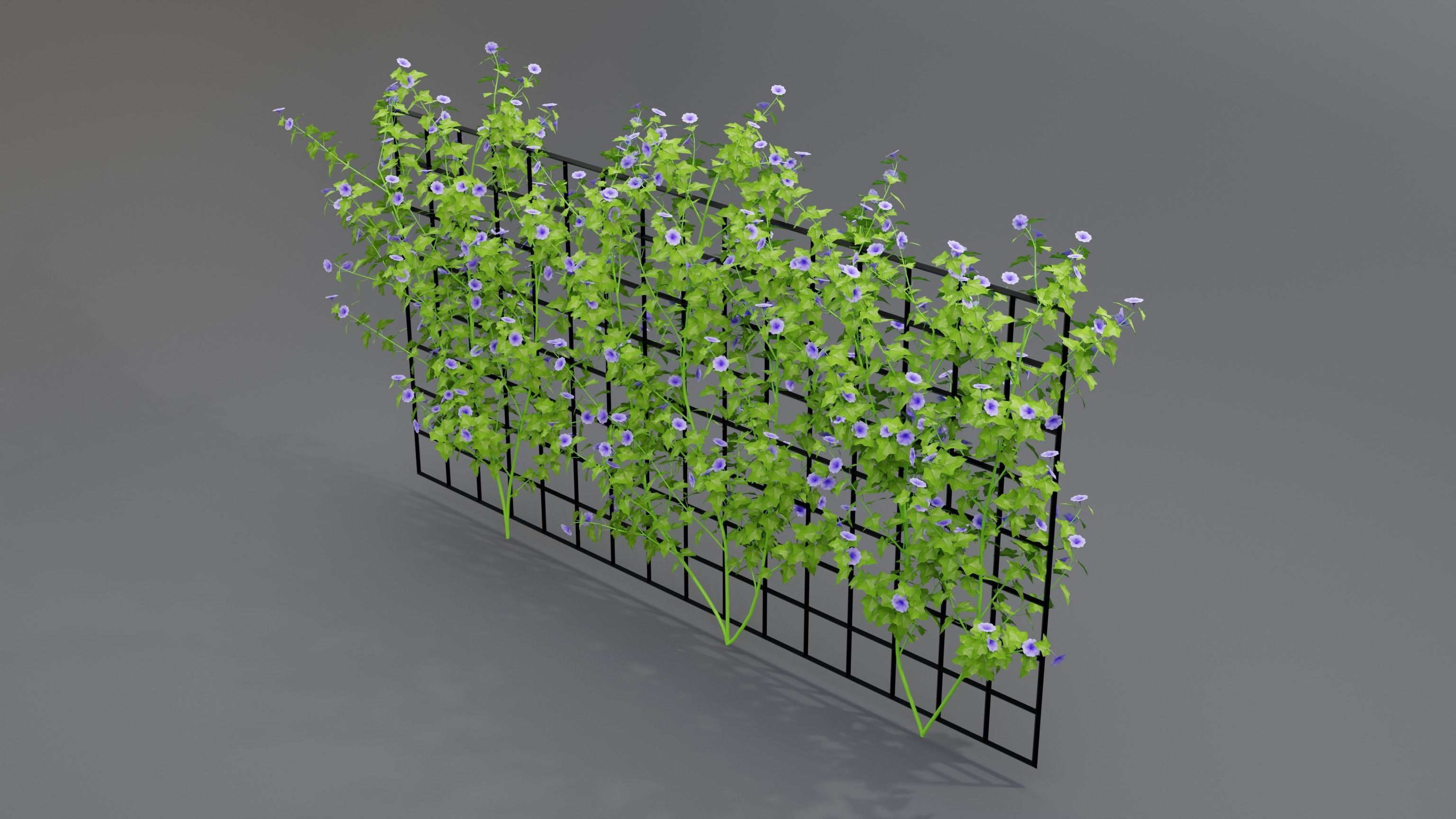 3d Flower Wall 3D model | CGTrader