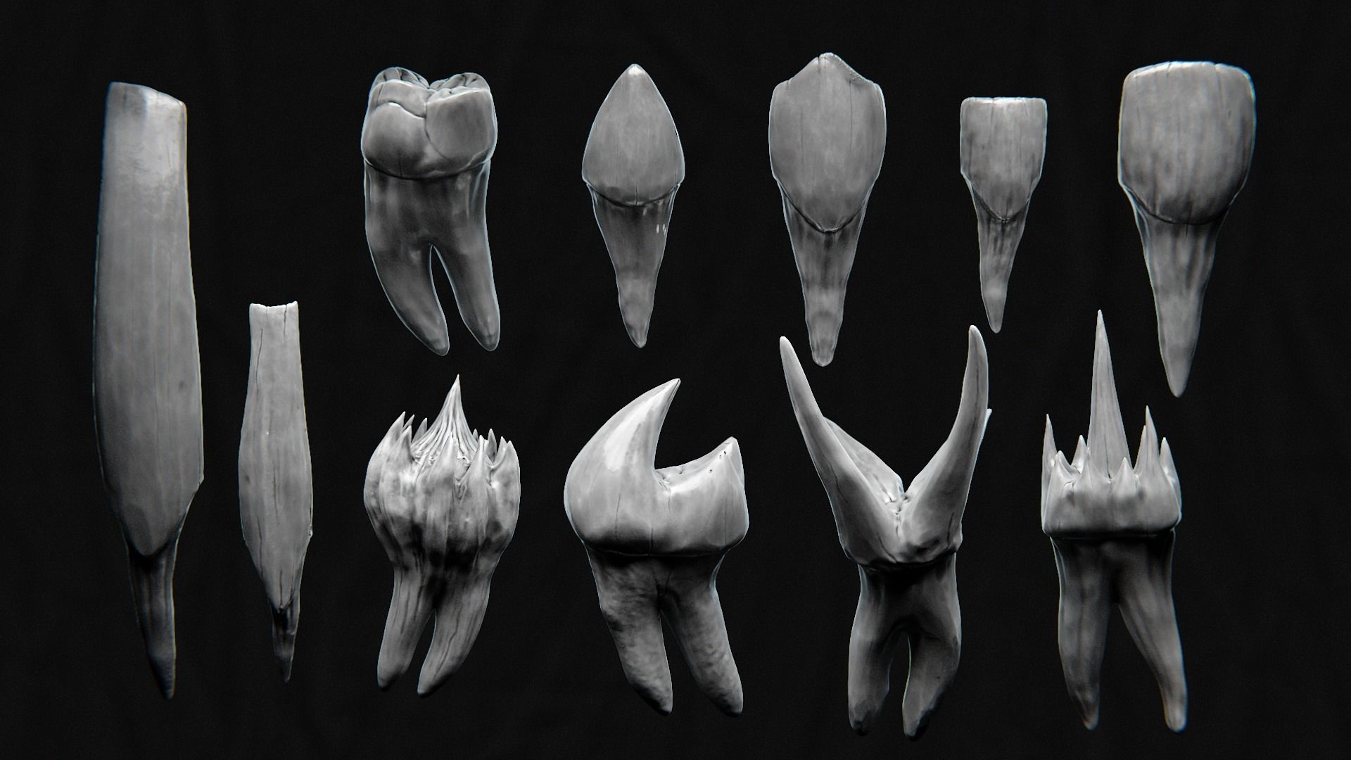 44 TEETH - High Detailed Teeth For Creatures IMM Zbursh-Blender 3D ...